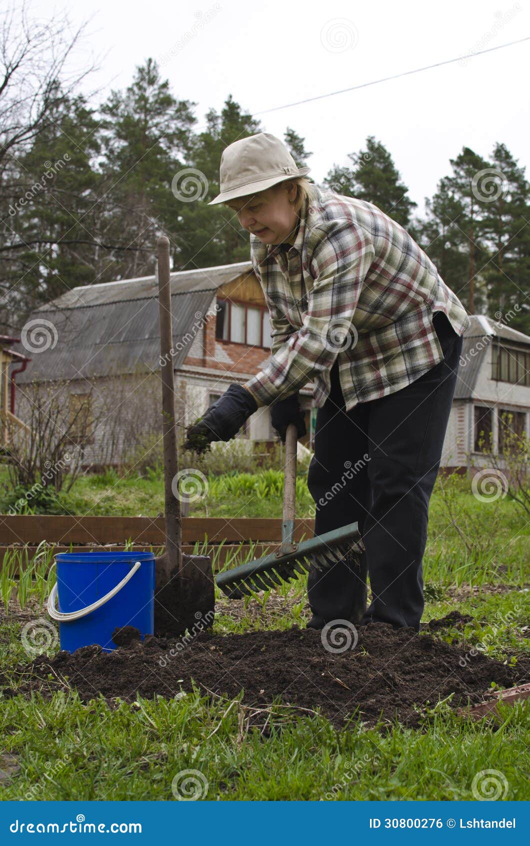 Preparing Beds for Vegetables Stock Photo - Image of work, adults: 30800276