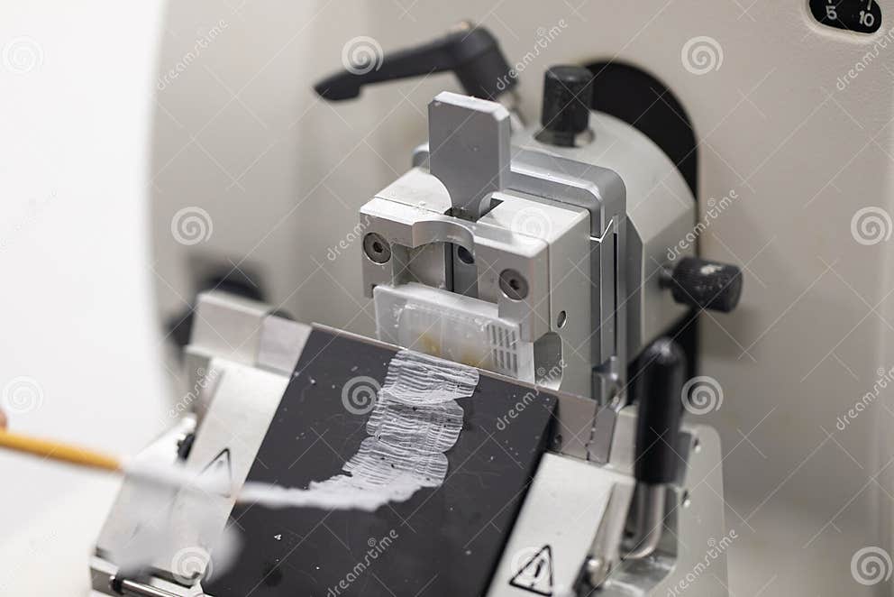 Preparing a Biopsy by Use Microtome in Lab. Stock Image - Image of ...