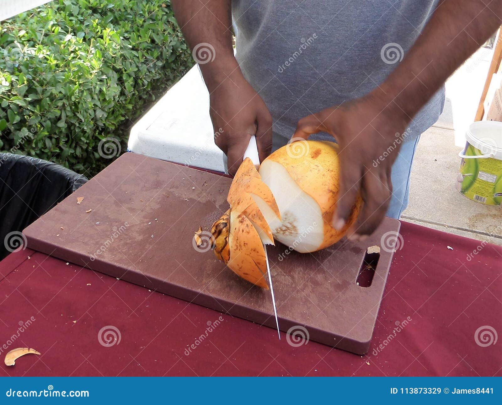 Preparing coconut juice. stock image. Image of slicing - 113873329