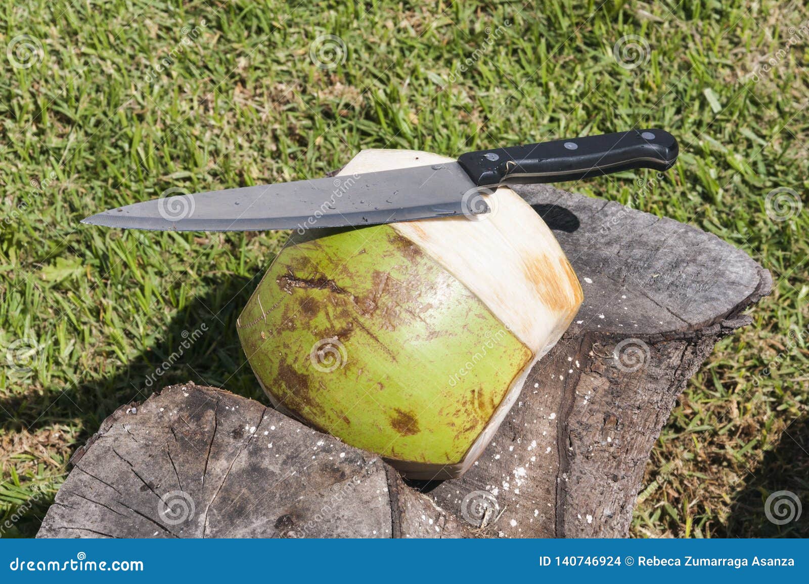 Preparing a coconut stock photo. Image of drink, vegetarian - 140746924