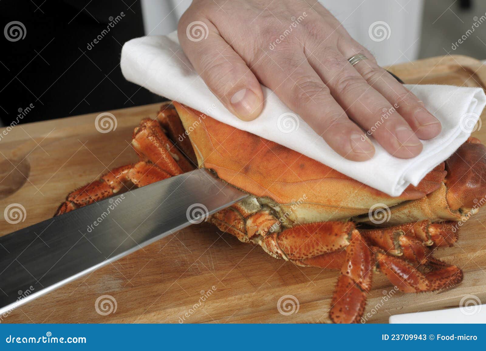 Preparing a crab stock image. Image of shellfish, preparation - 23709943