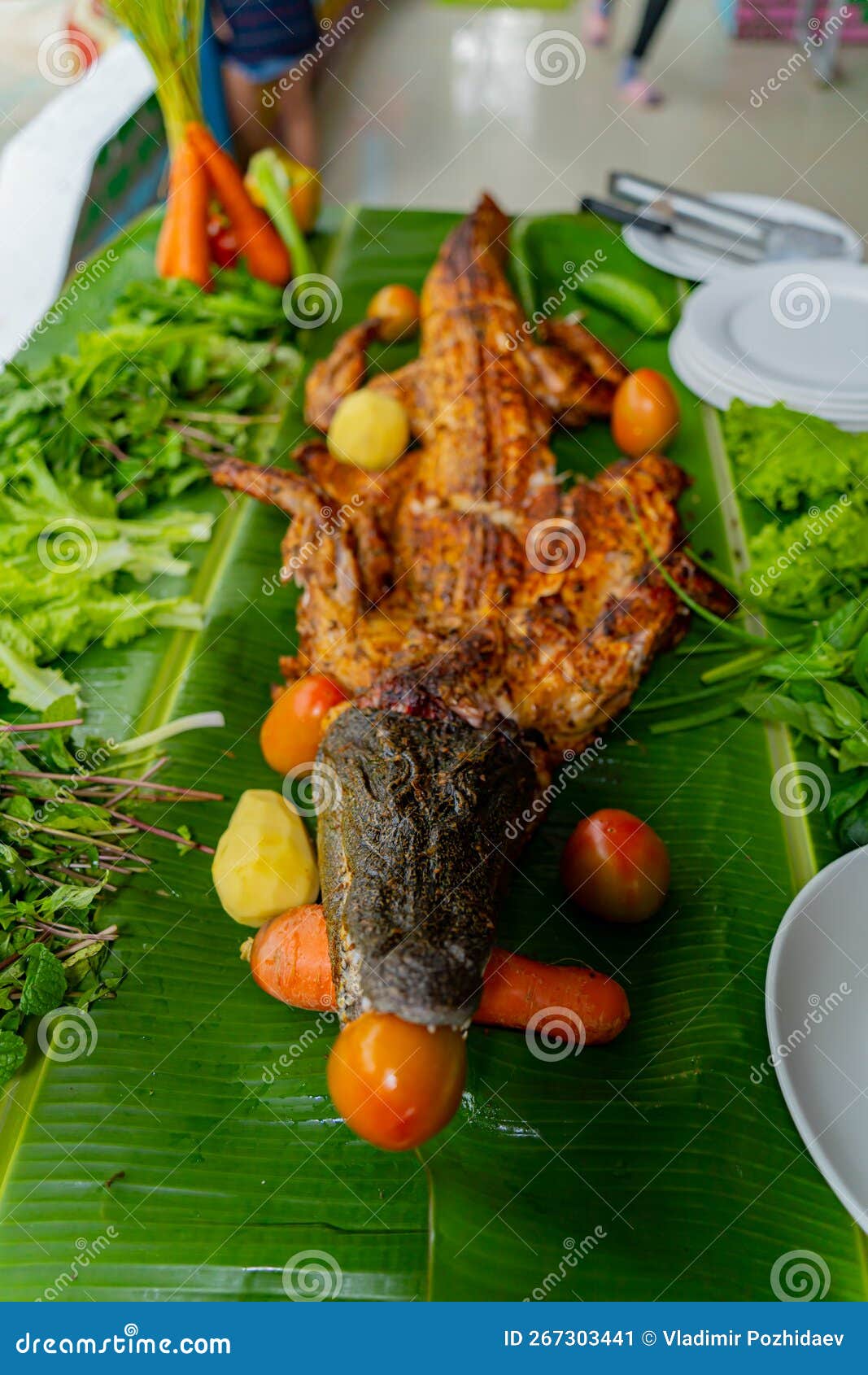 Preparing a crocodile. stock image. Image of cooking - 267303441