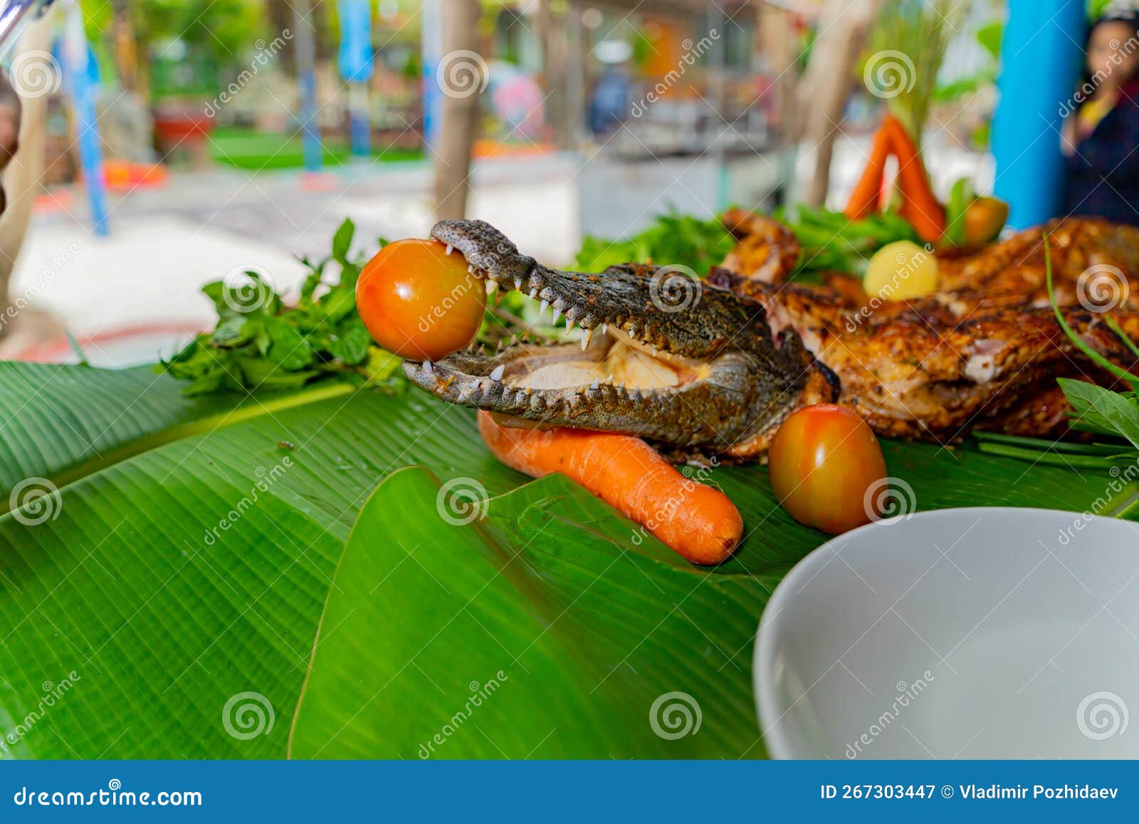 Preparing a crocodile. stock image. Image of vietnamese - 267303447
