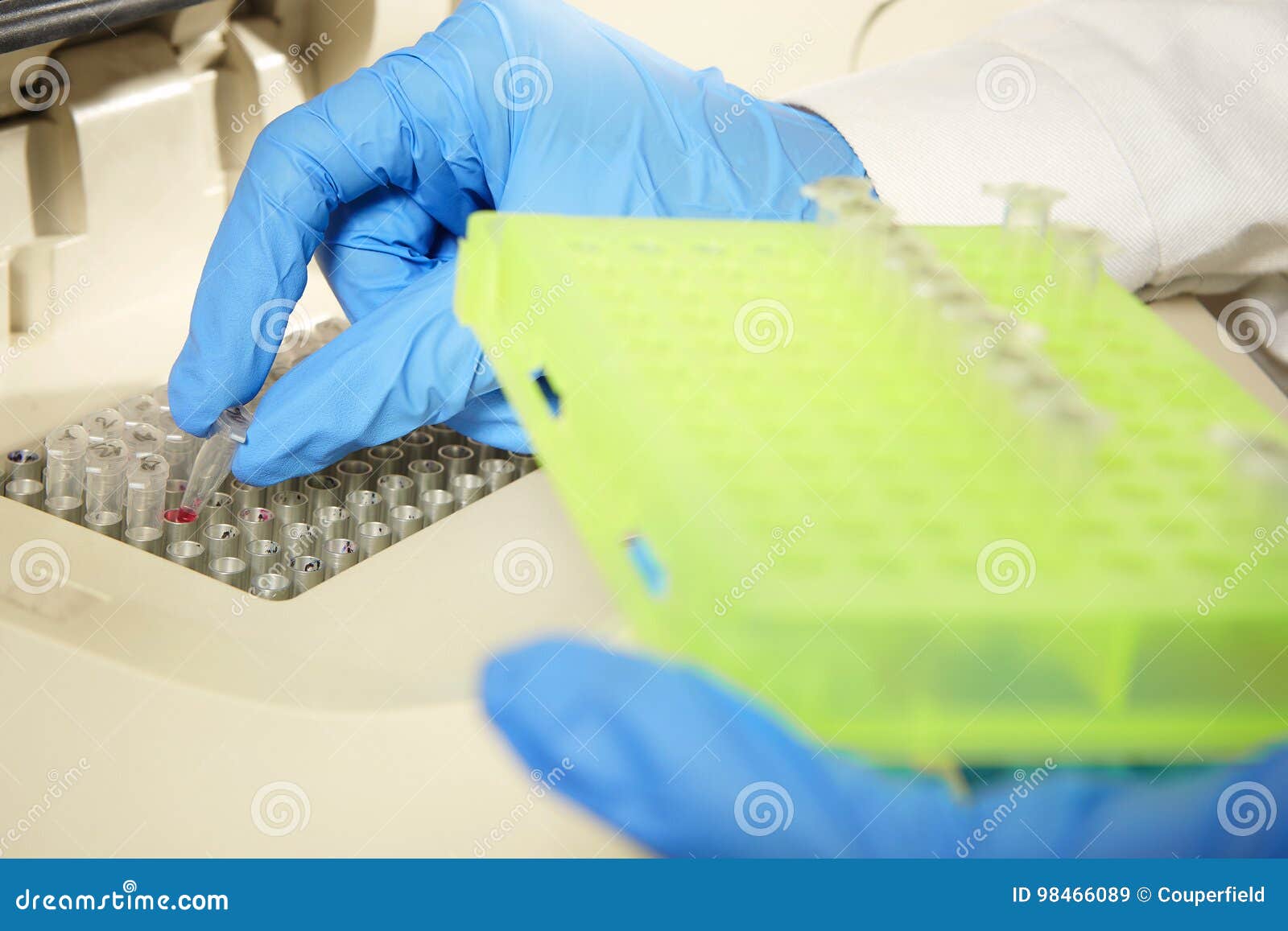 Preparing of Dna Samples for PCR Process Stock Image - Image of pipette ...