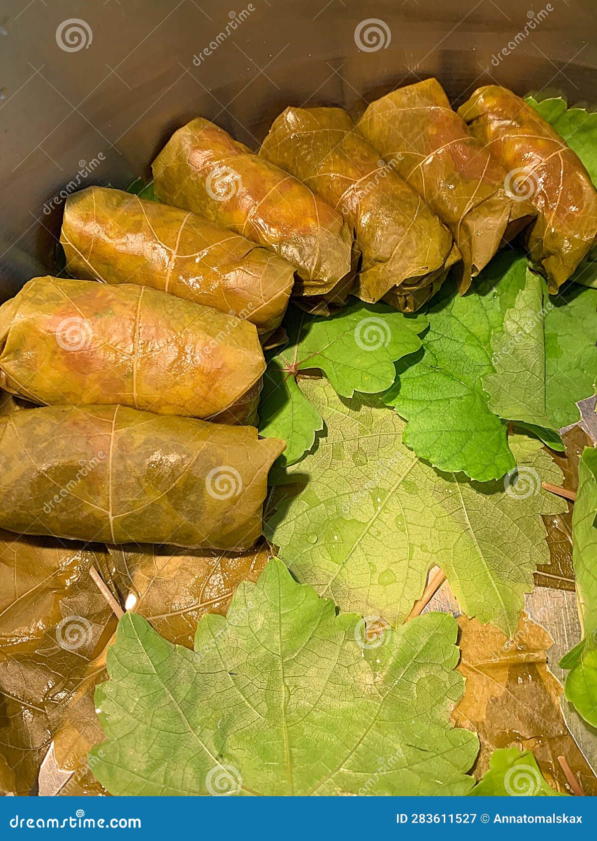 Dolma, Rice with Meat Wrapped in Grape Leaves, Grape Leaf Rolls, Grape ...
