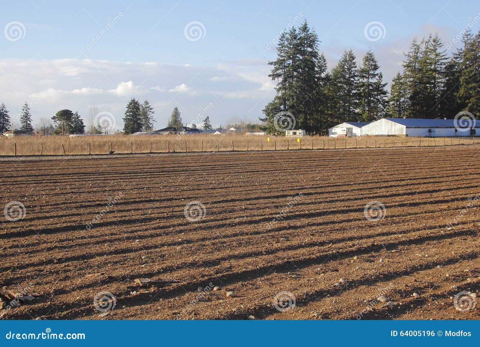 Preparing Farm Land for Planting Stock Photo - Image of unplanted, rows ...