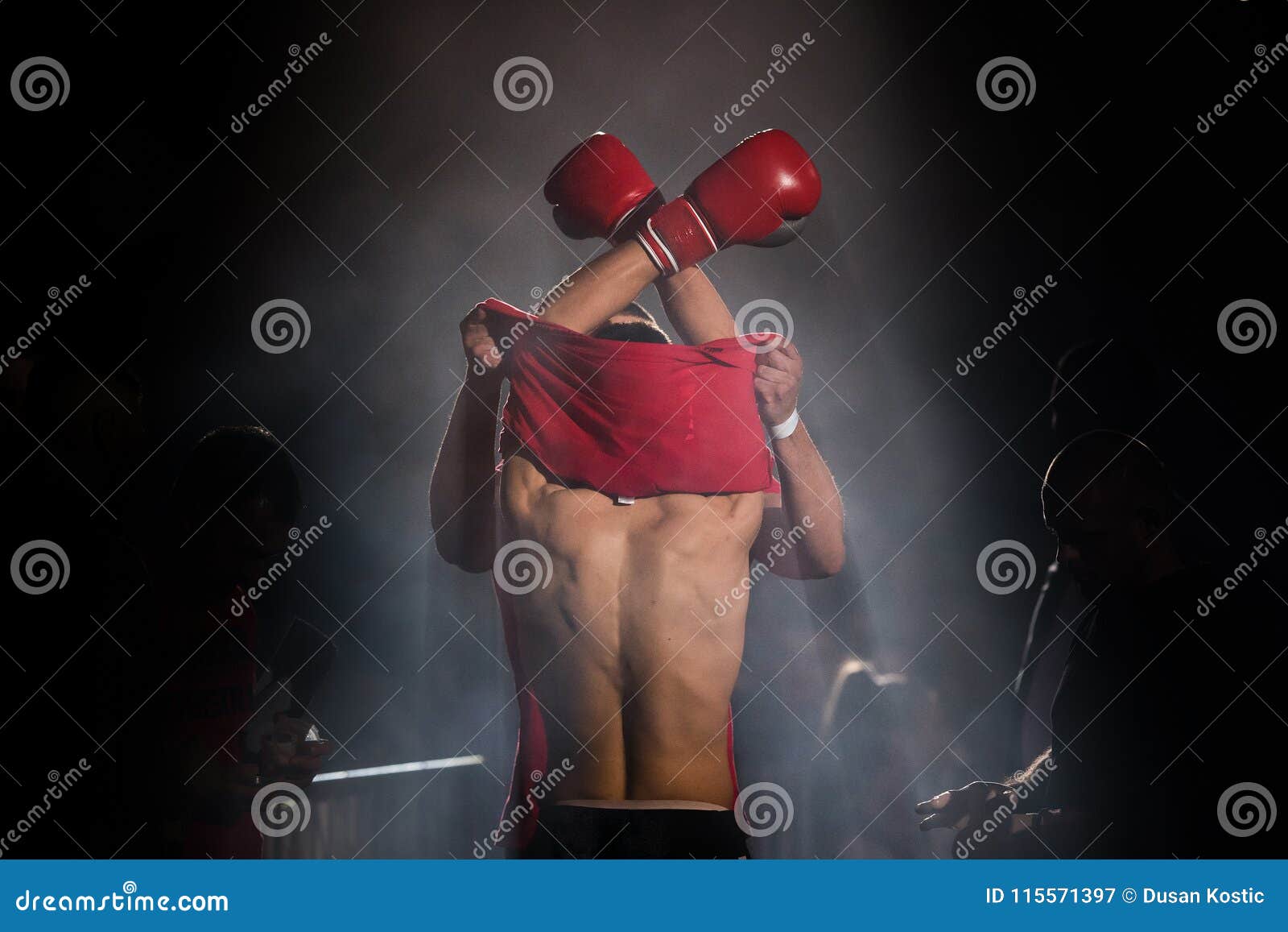 Preparing Fighter for Fight with Boxing Gloves in the Ring Editorial ...