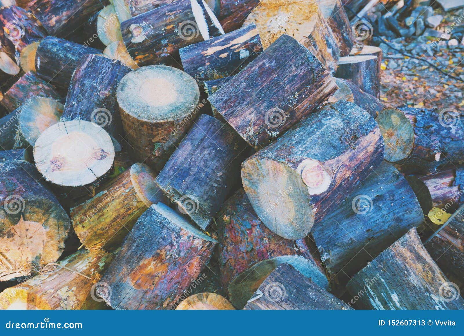 Pile of the Cutting Pine Wood Outdoors Stock Image - Image of resource ...