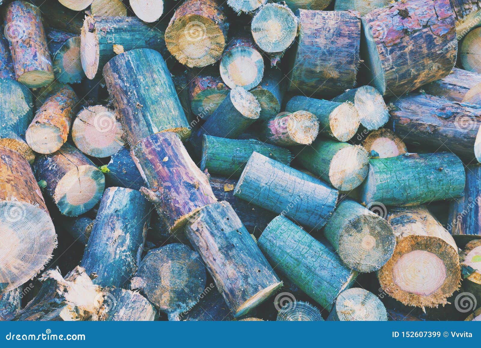 Pile of the Cutting Pine Wood Outdoors Stock Image - Image of pile ...