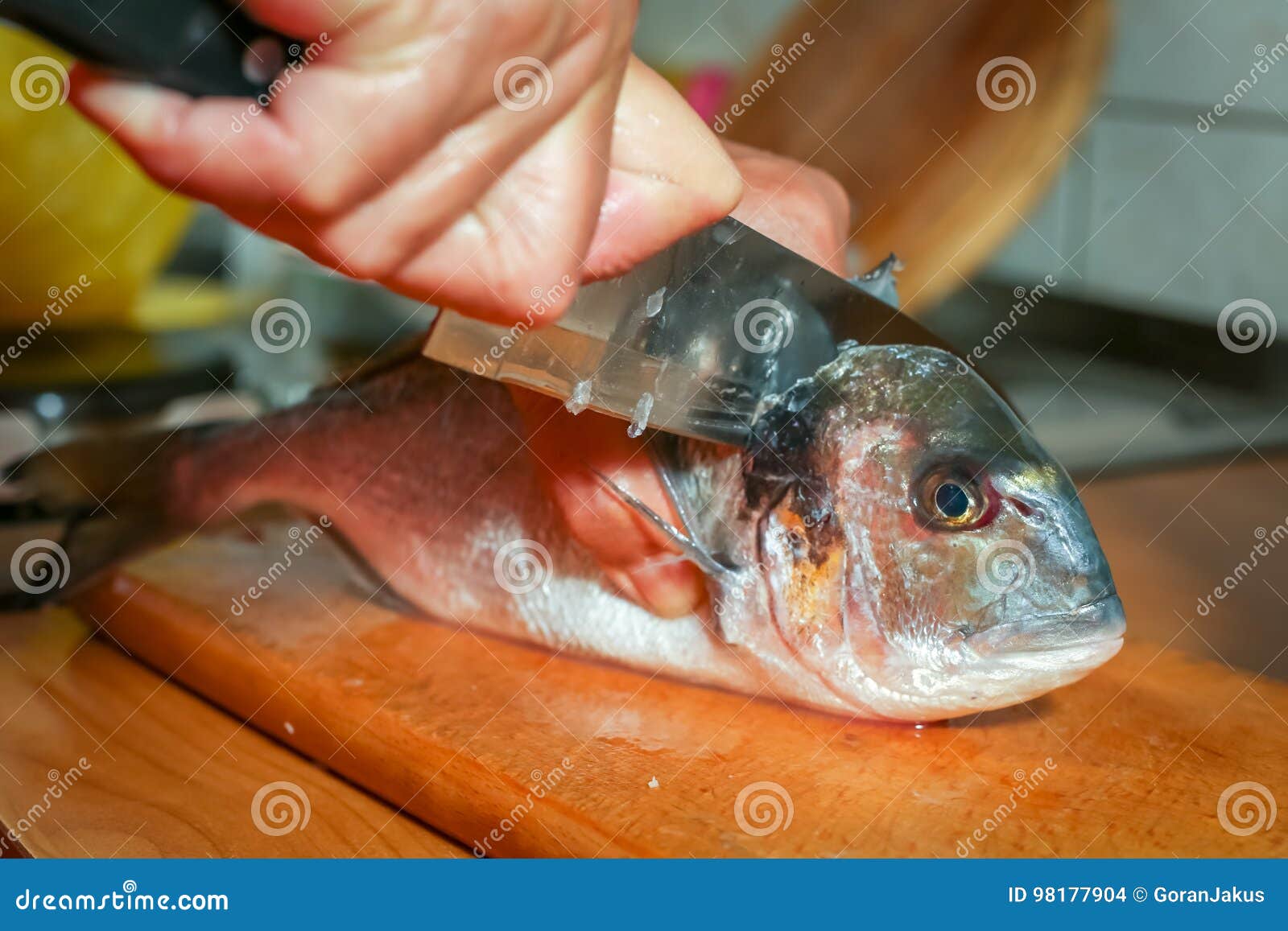 Preparing fish on board stock photo. Image of nutrition - 98177904