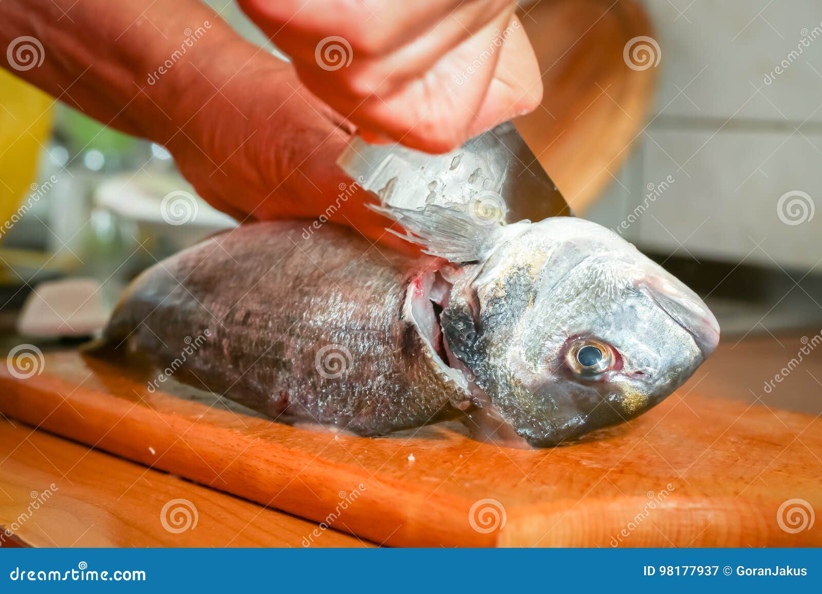 Preparing fish on board stock image. Image of preparing - 98177937