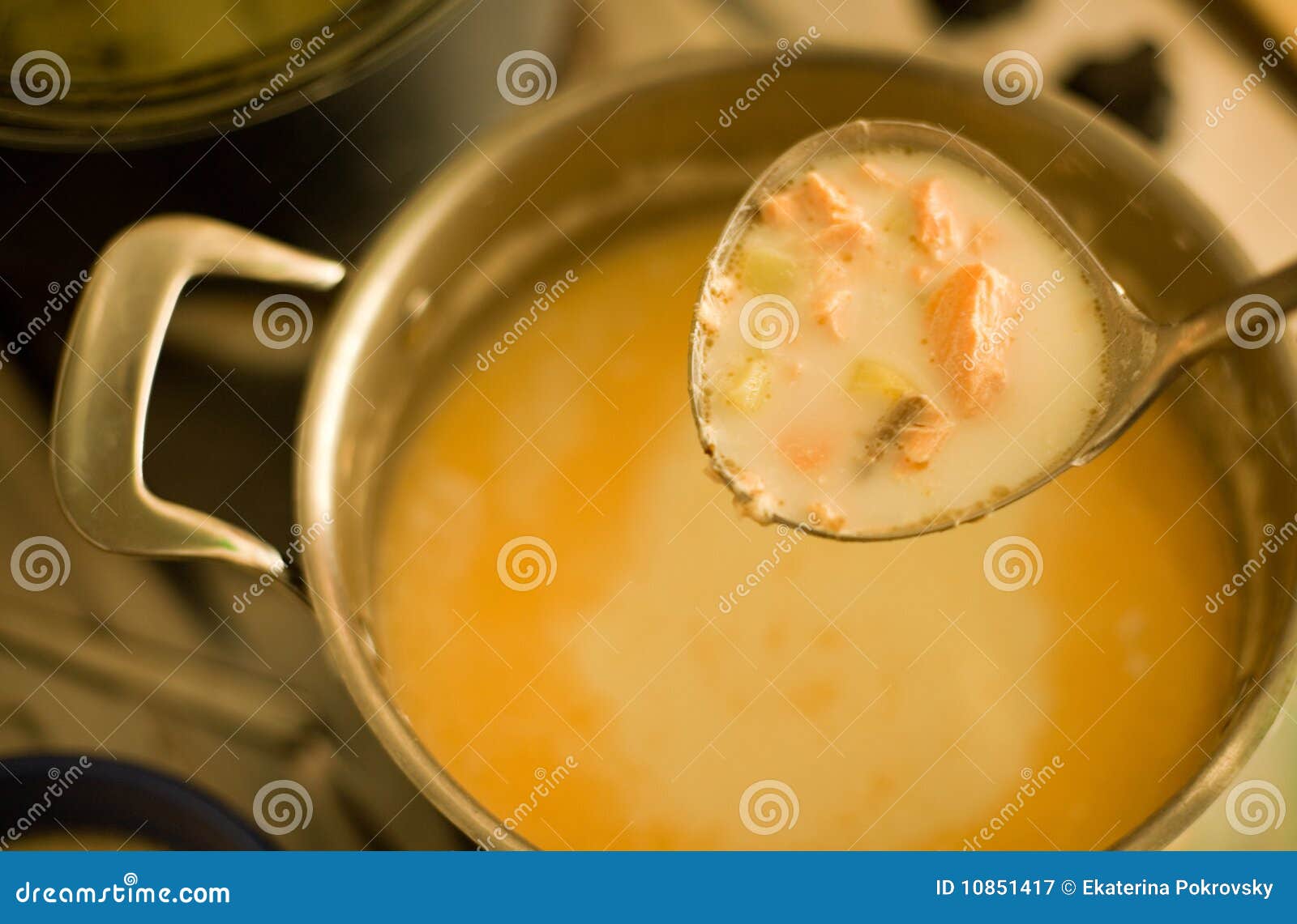 Preparing fish soup stock image. Image of horizontal - 10851417