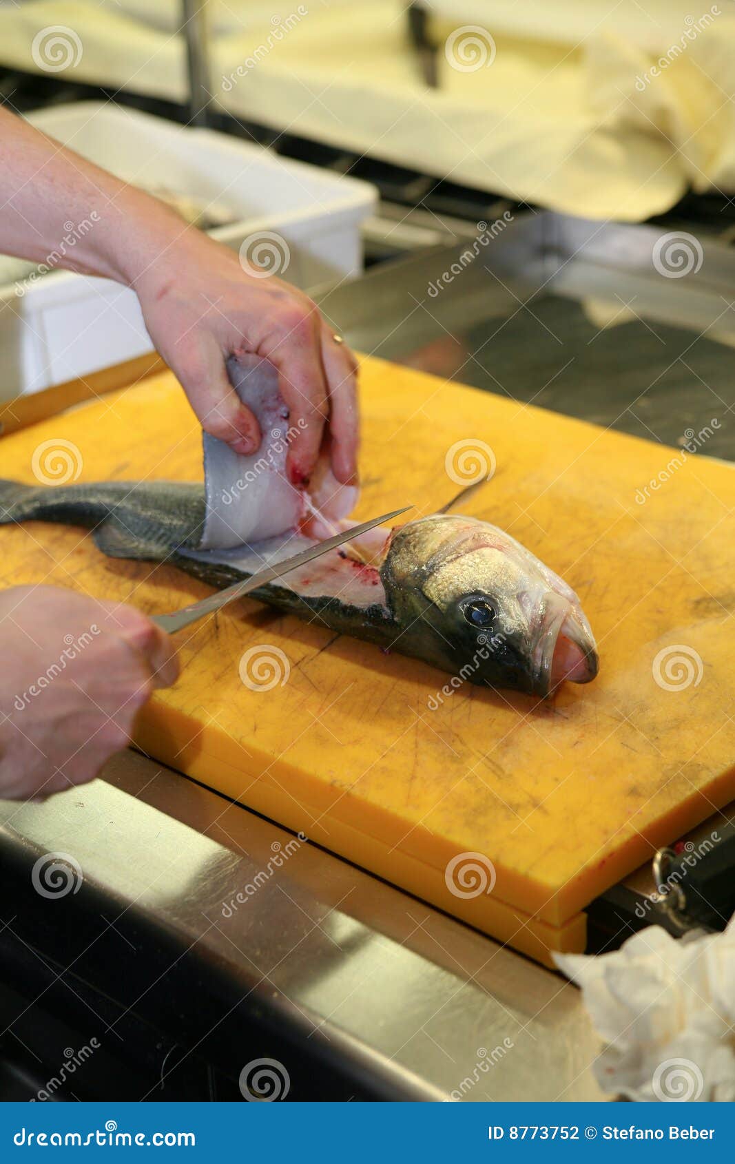 Preparing fish to cook stock photo. Image of fish, diet - 8773752