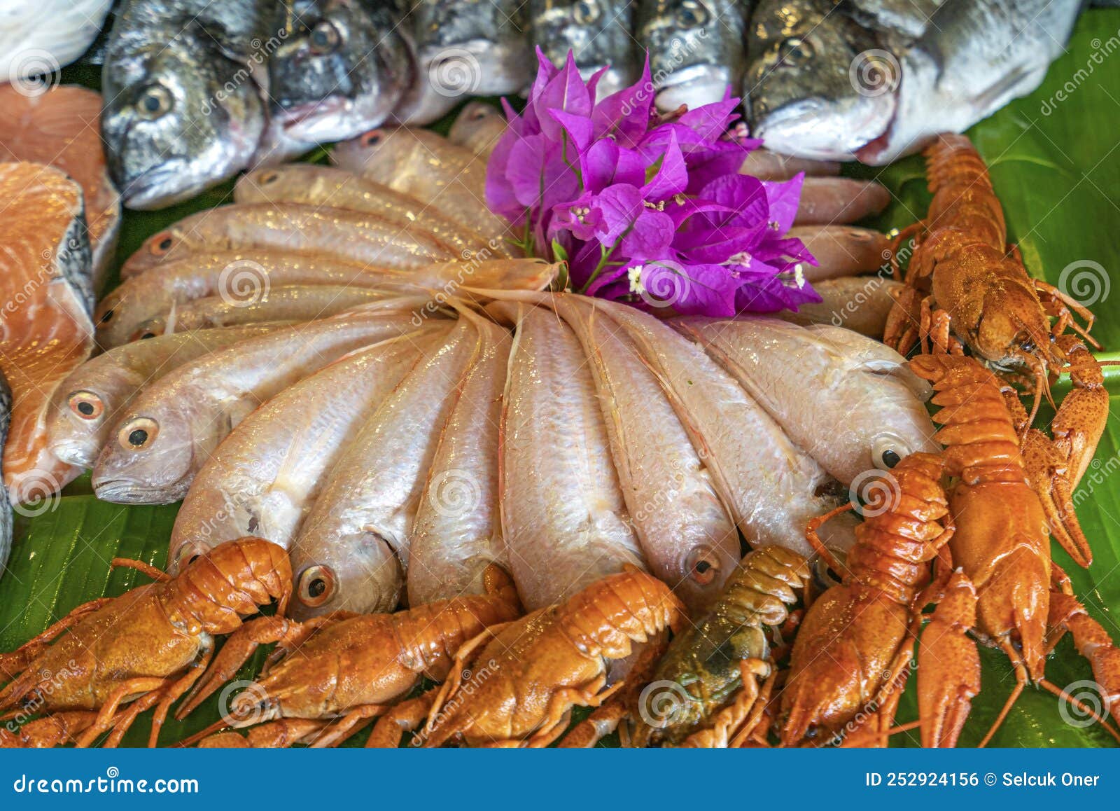 Preparing and Grilling Delicious Fish and Seafoods Stock Photo - Image ...