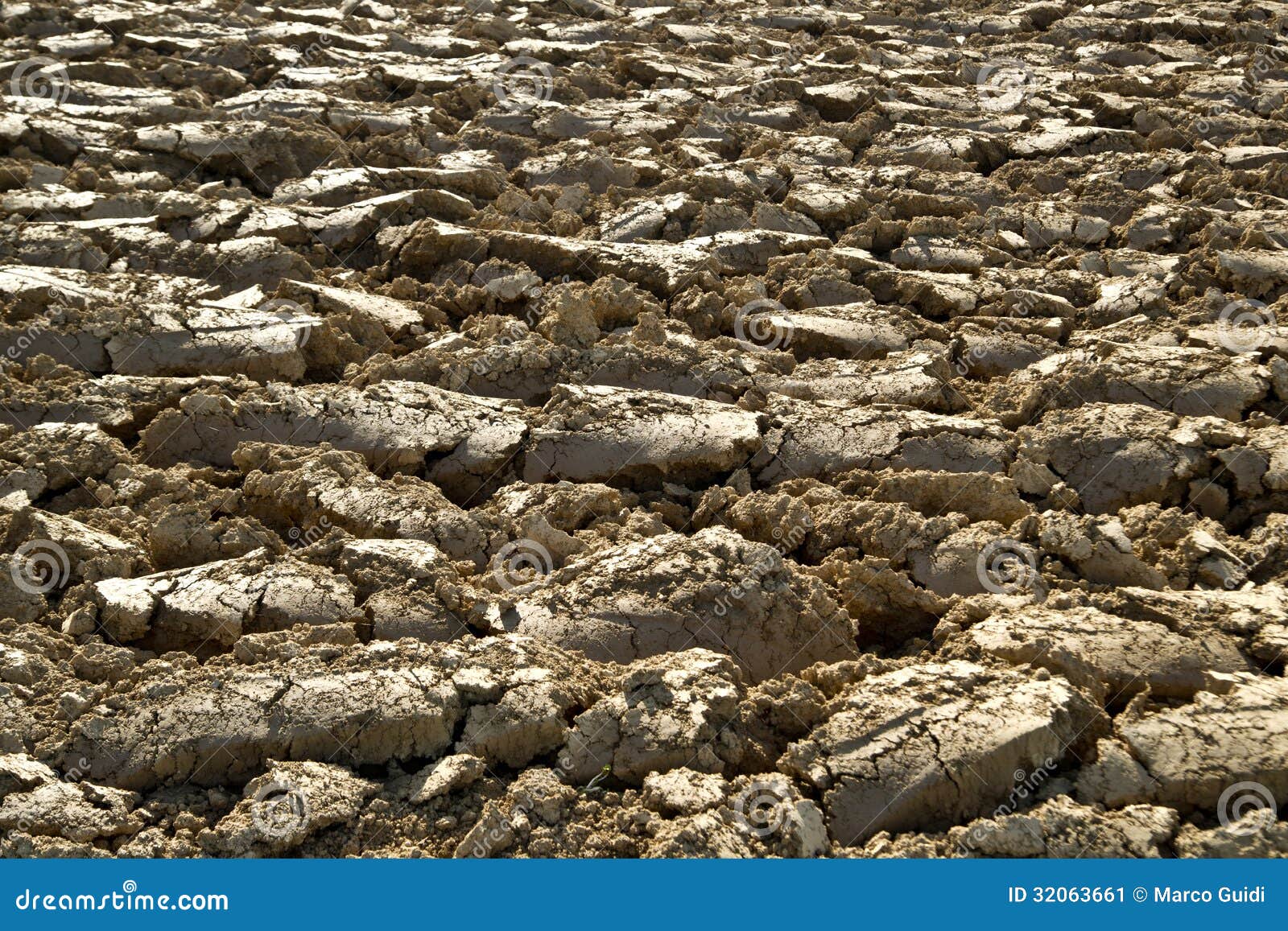 Preparing the Ground stock image. Image of countryside - 32063661