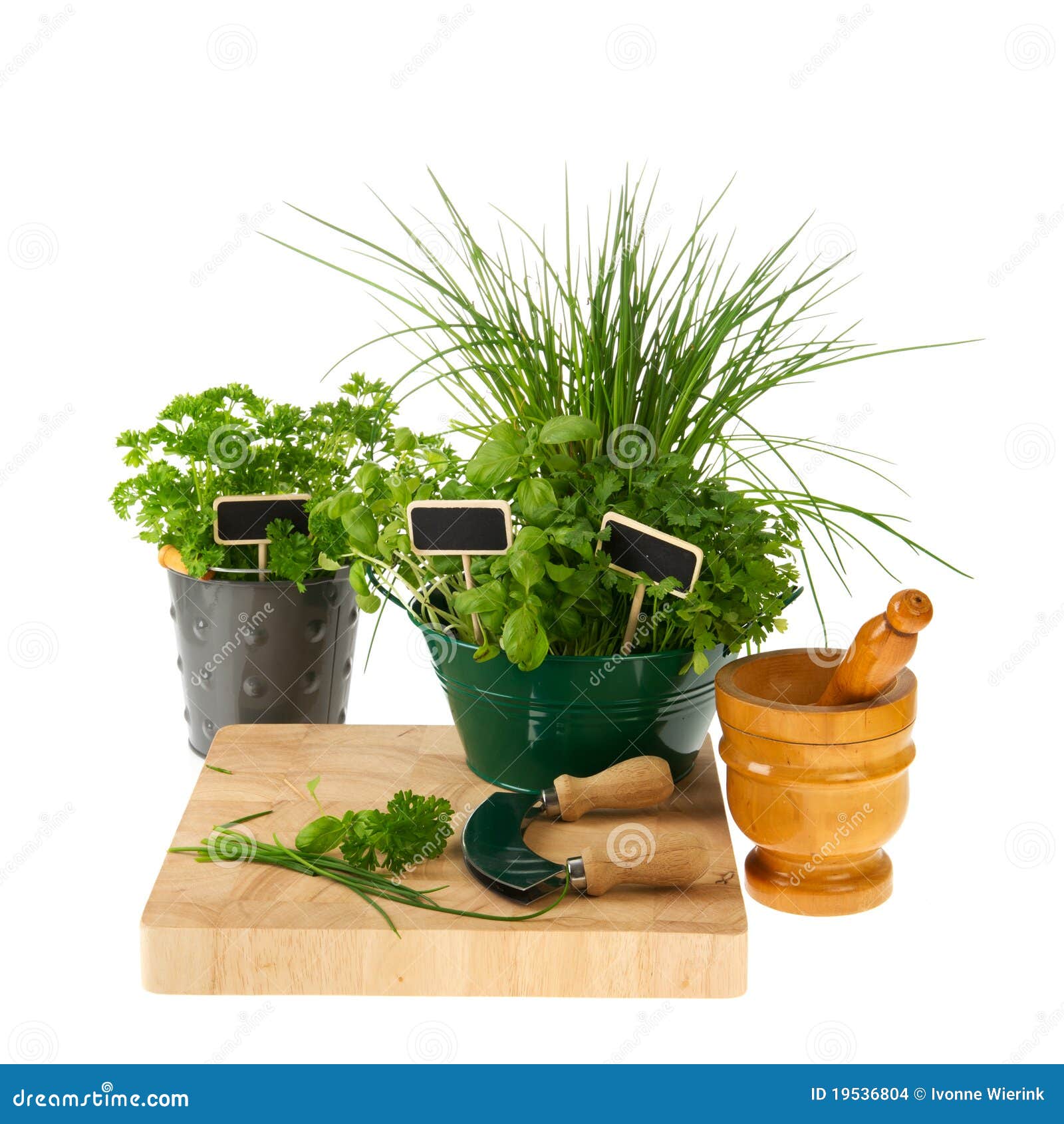 Preparing kitchen herbs stock photo. Image of equipment - 19536804