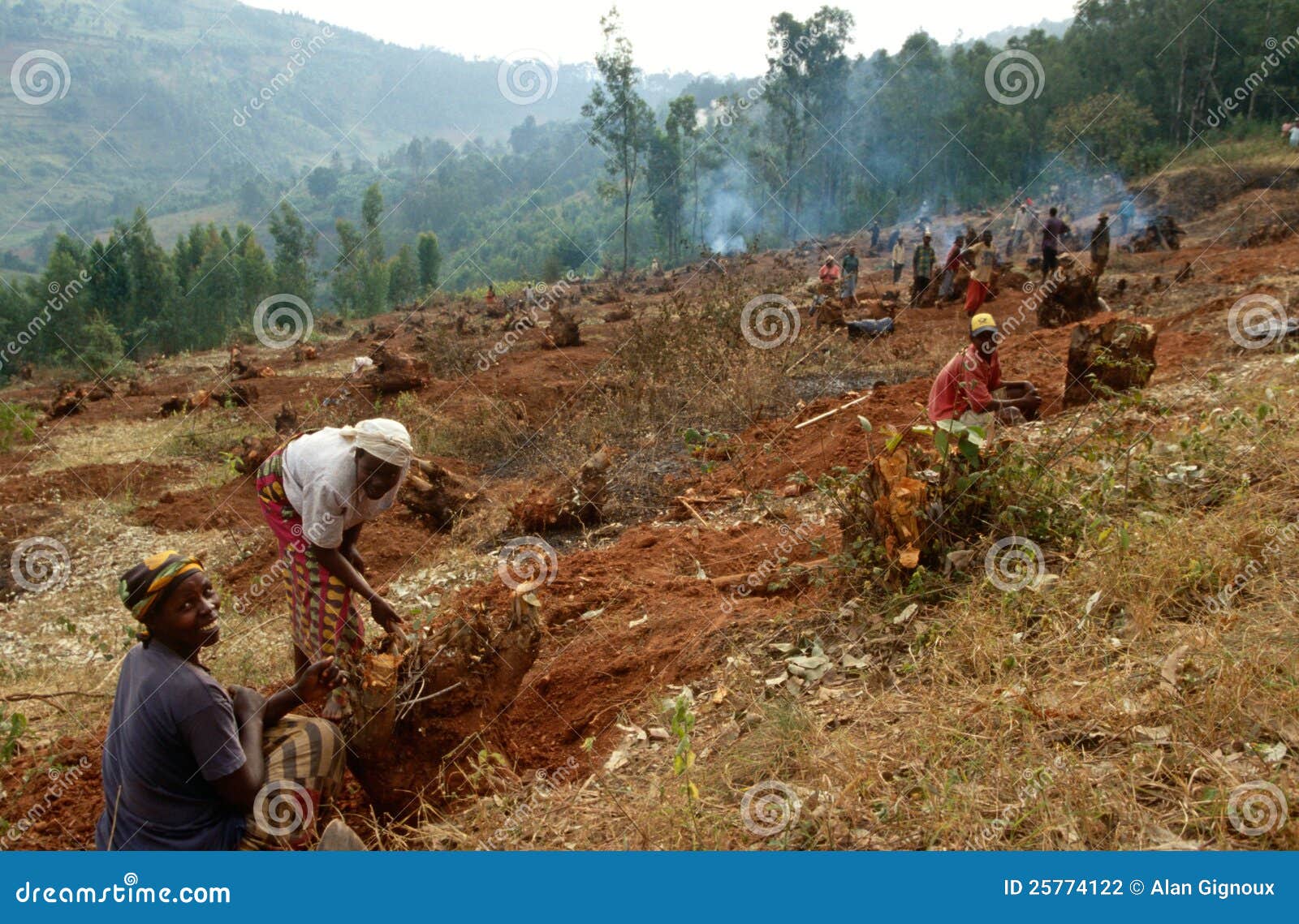 Preparing the Land for Agriculture, Uganda Editorial Photography ...