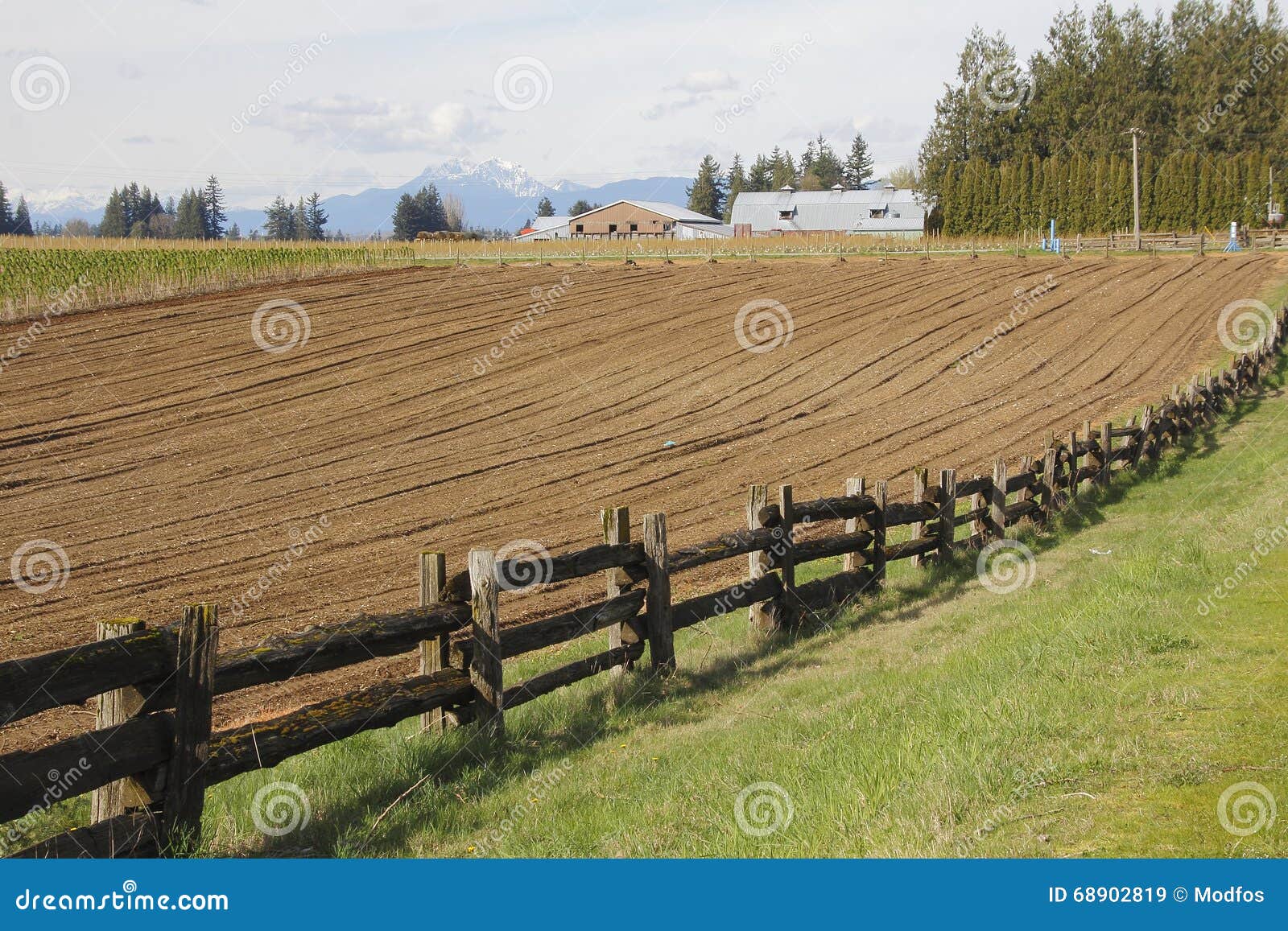 Preparing Land for Spring Planting Stock Image - Image of landscape ...