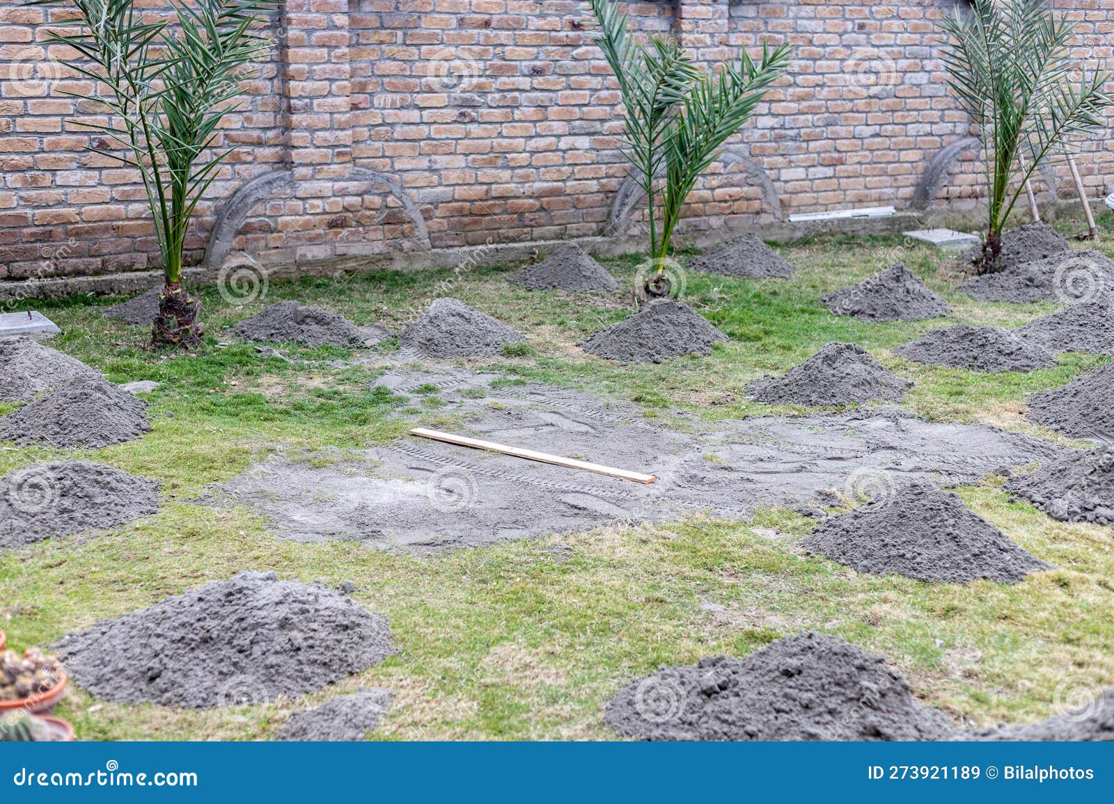 Preparing and Leveling Grass with the Help of Sand Stock Image - Image ...