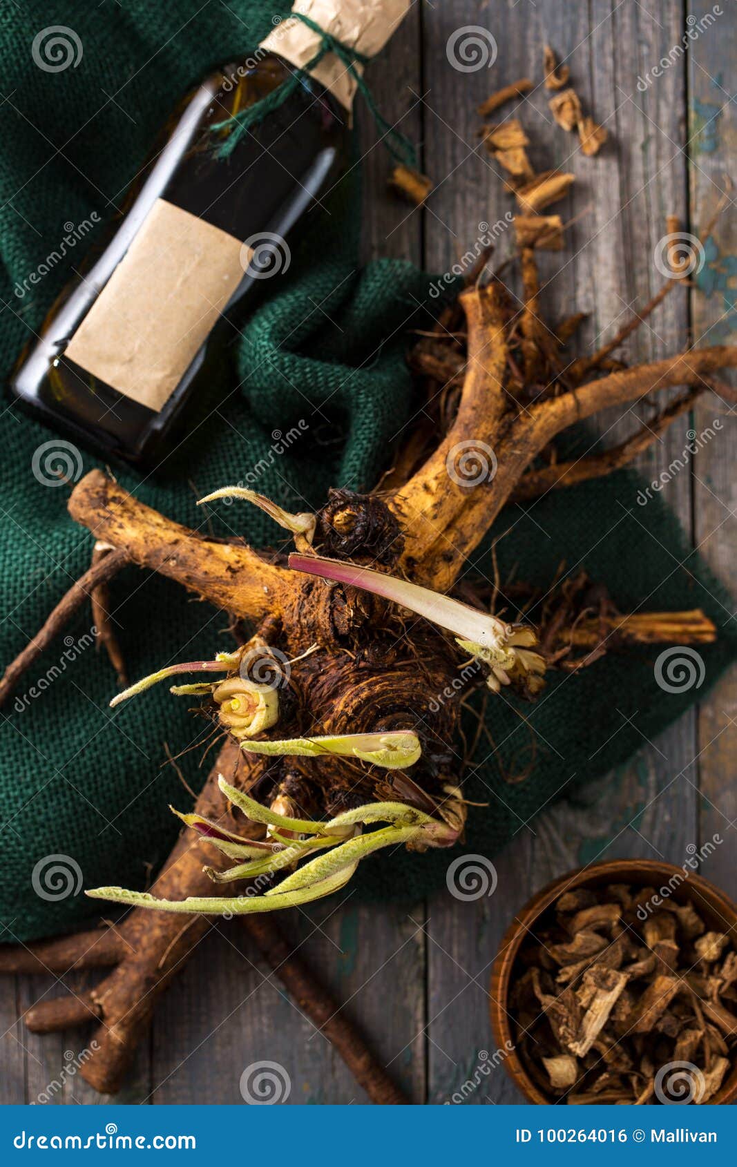 Medicinal root elecampane stock photo. Image of drug - 100264016