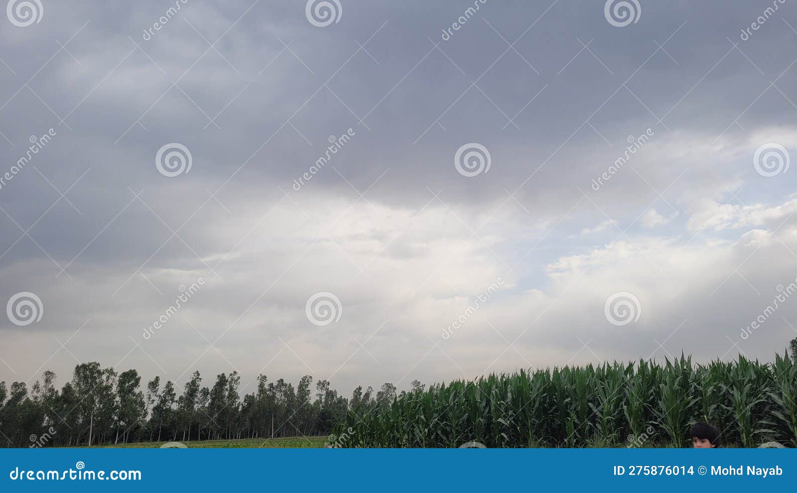 Preparing for the rain stock photo. Image of clouds - 275876014