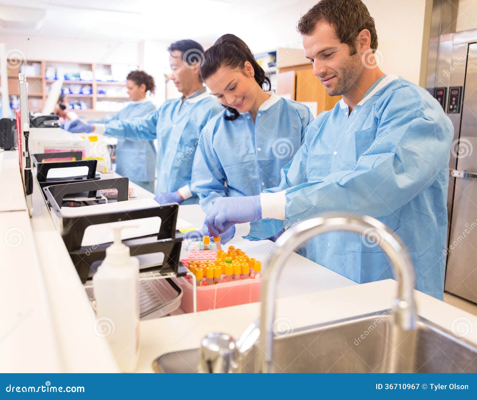Preparing Samples for Referral Stock Image - Image of facility, female ...