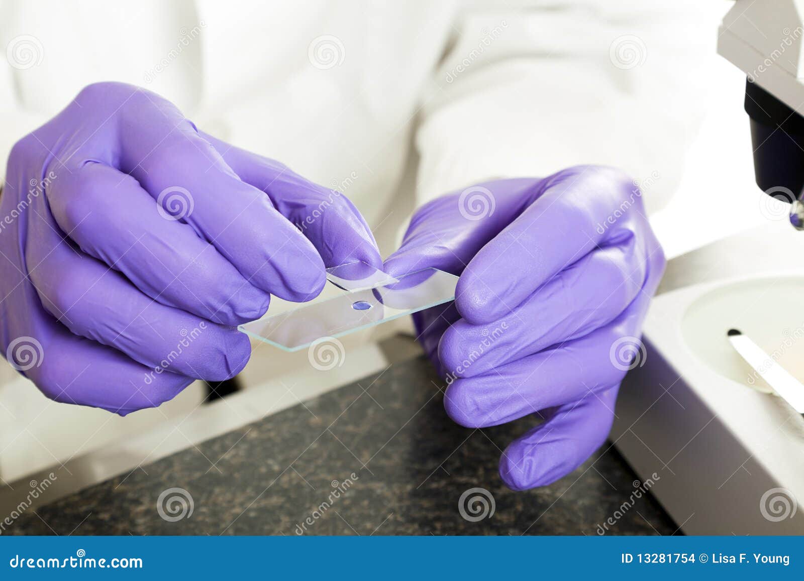 Preparing Slide Closeup stock photo. Image of science - 13281754