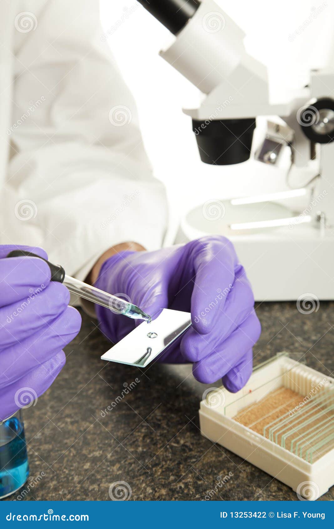 Preparing Slide for Microscope Stock Photo - Image of white, coat: 13253422