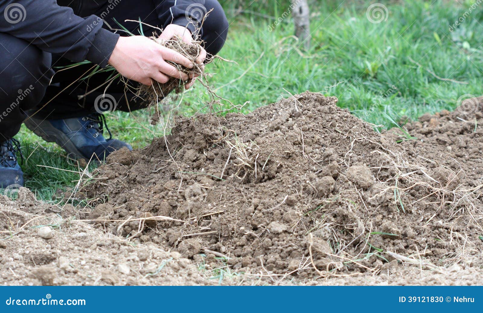 Preparing Soil for Planting Stock Photo - Image of plough, measuring ...