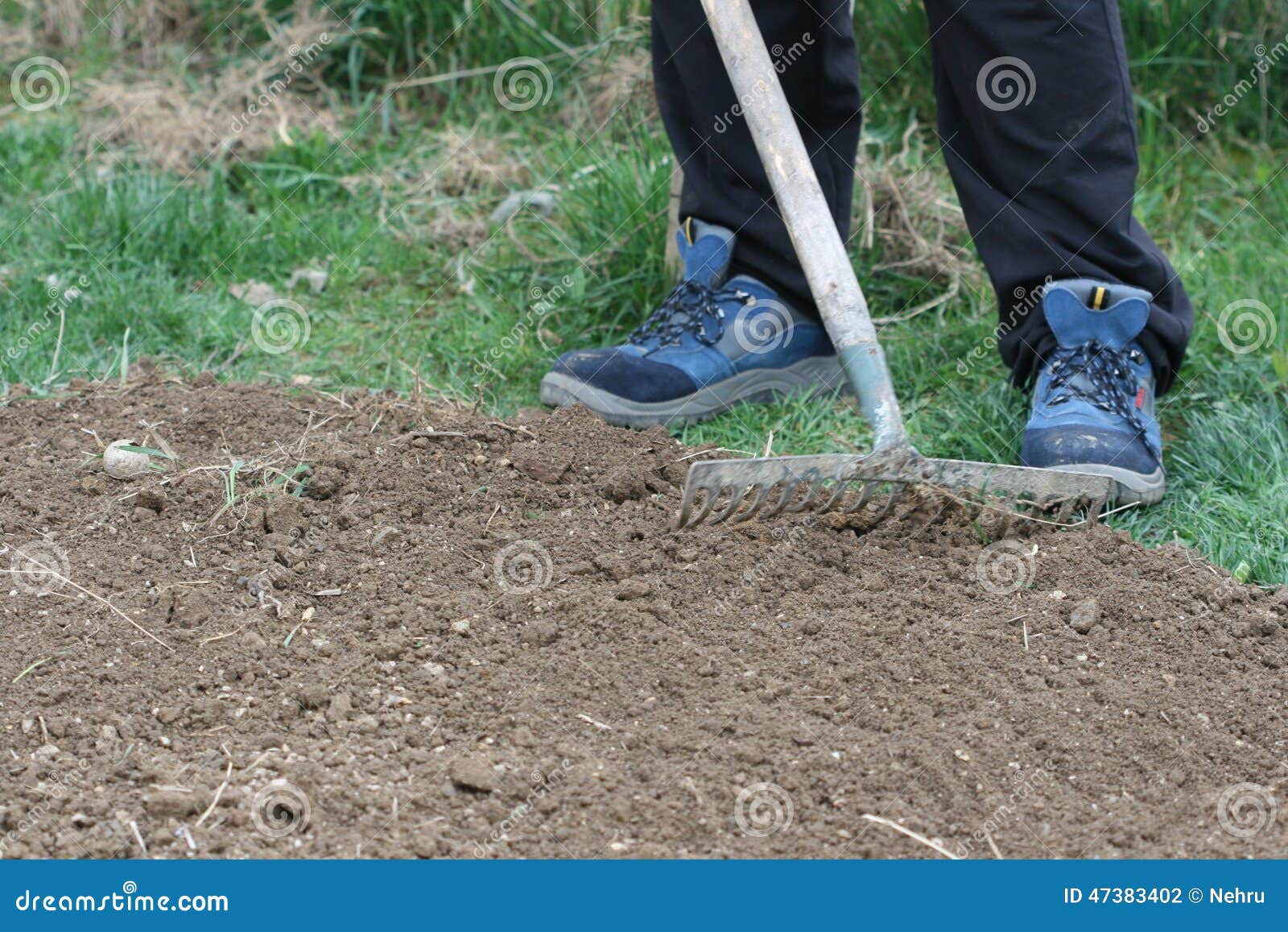 Preparing Soil for Planting Stock Photo - Image of planting, background ...