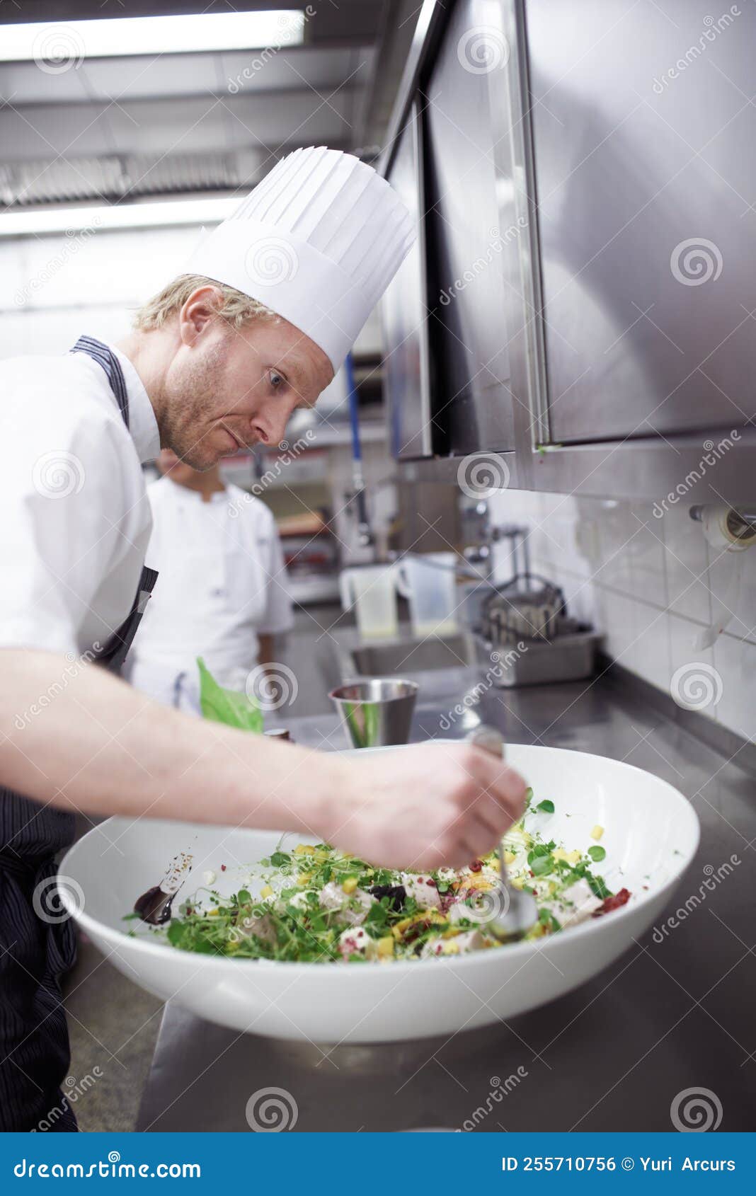 Preparing the Starters. Chefs Preparing a Meal Service in a ...