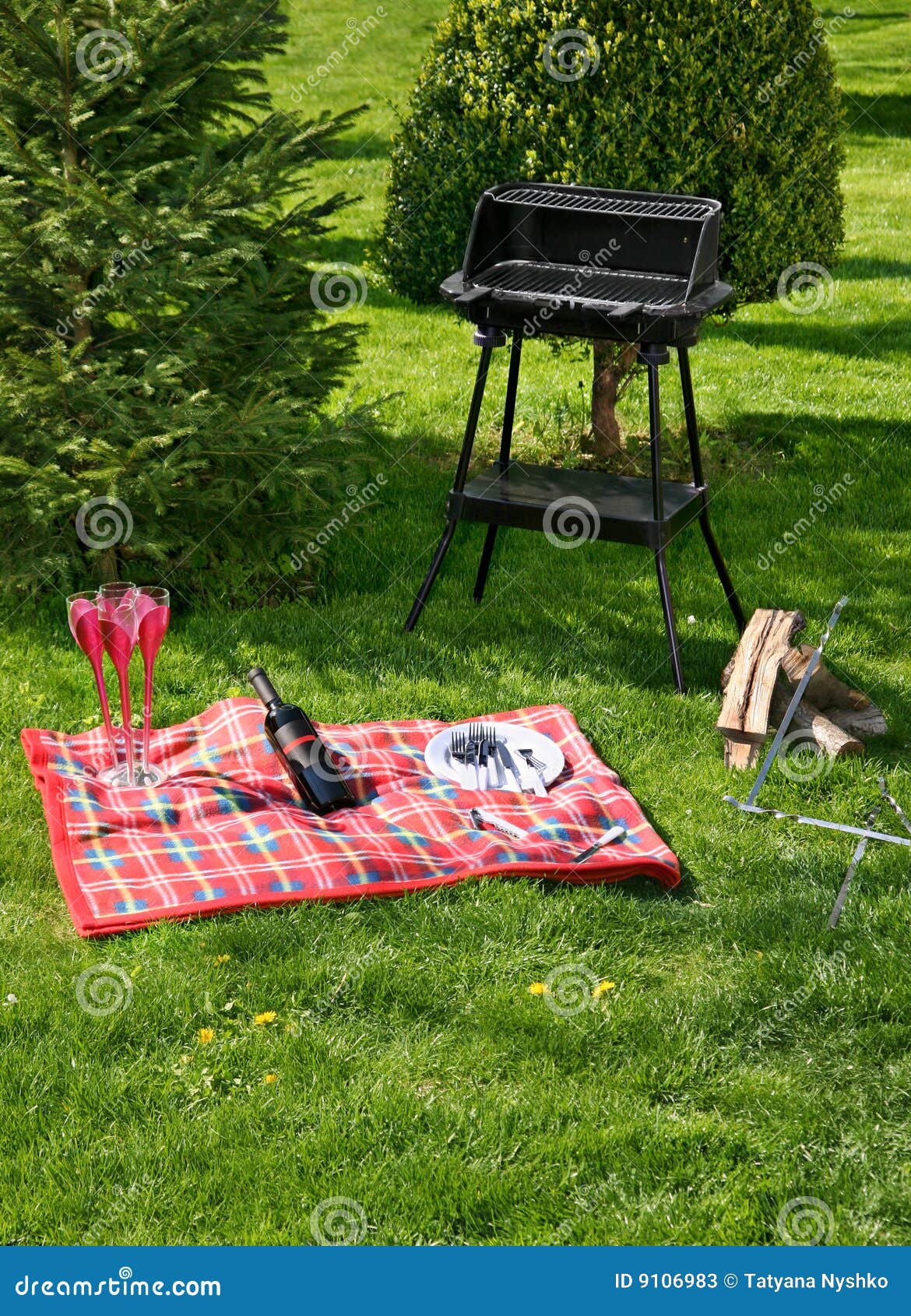 Preparing to picnic stock image. Image of grill, bottle - 9106983