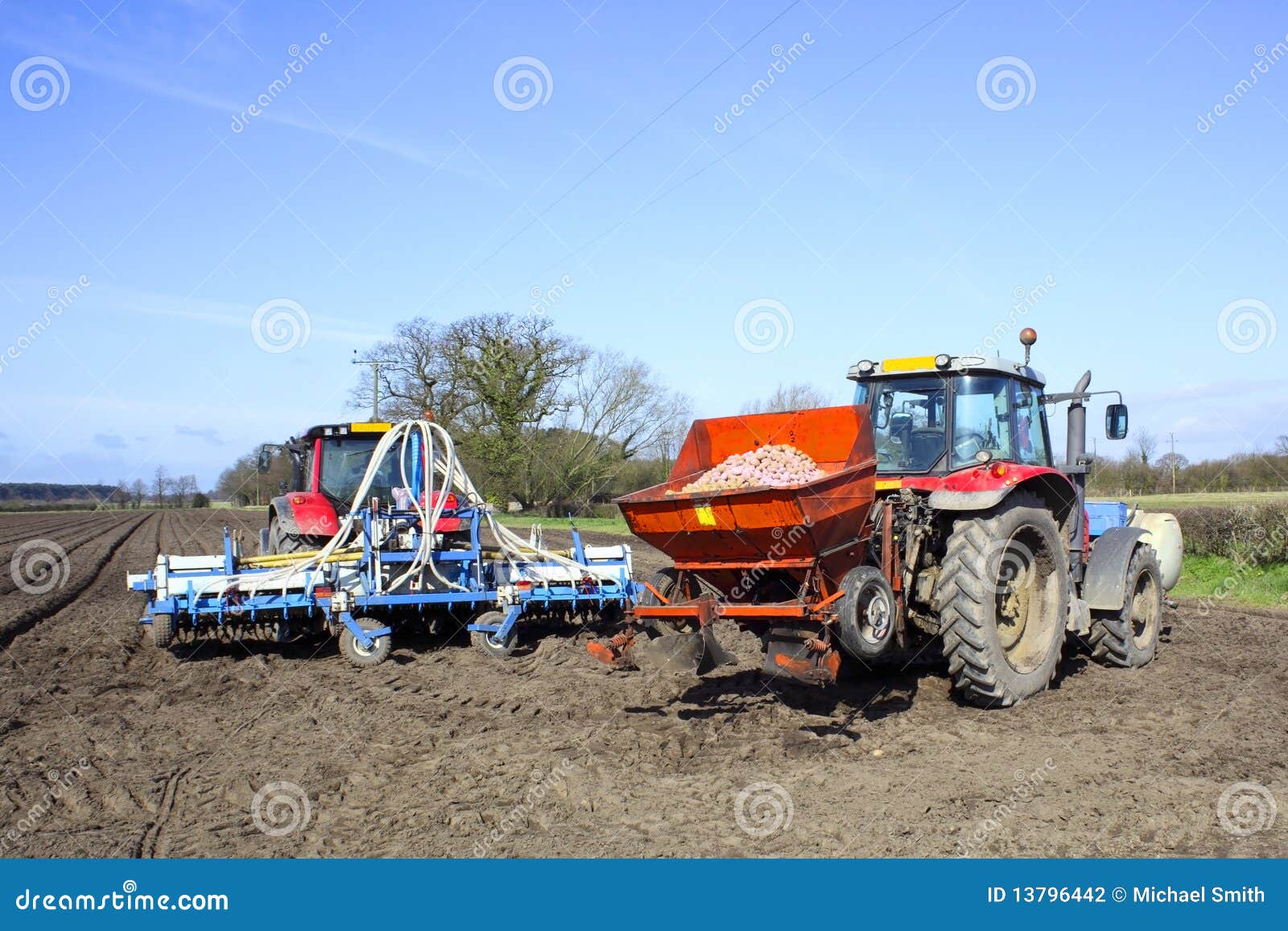 Preparing To Plant Potatoes Stock Photo - Image of commercial, farm ...