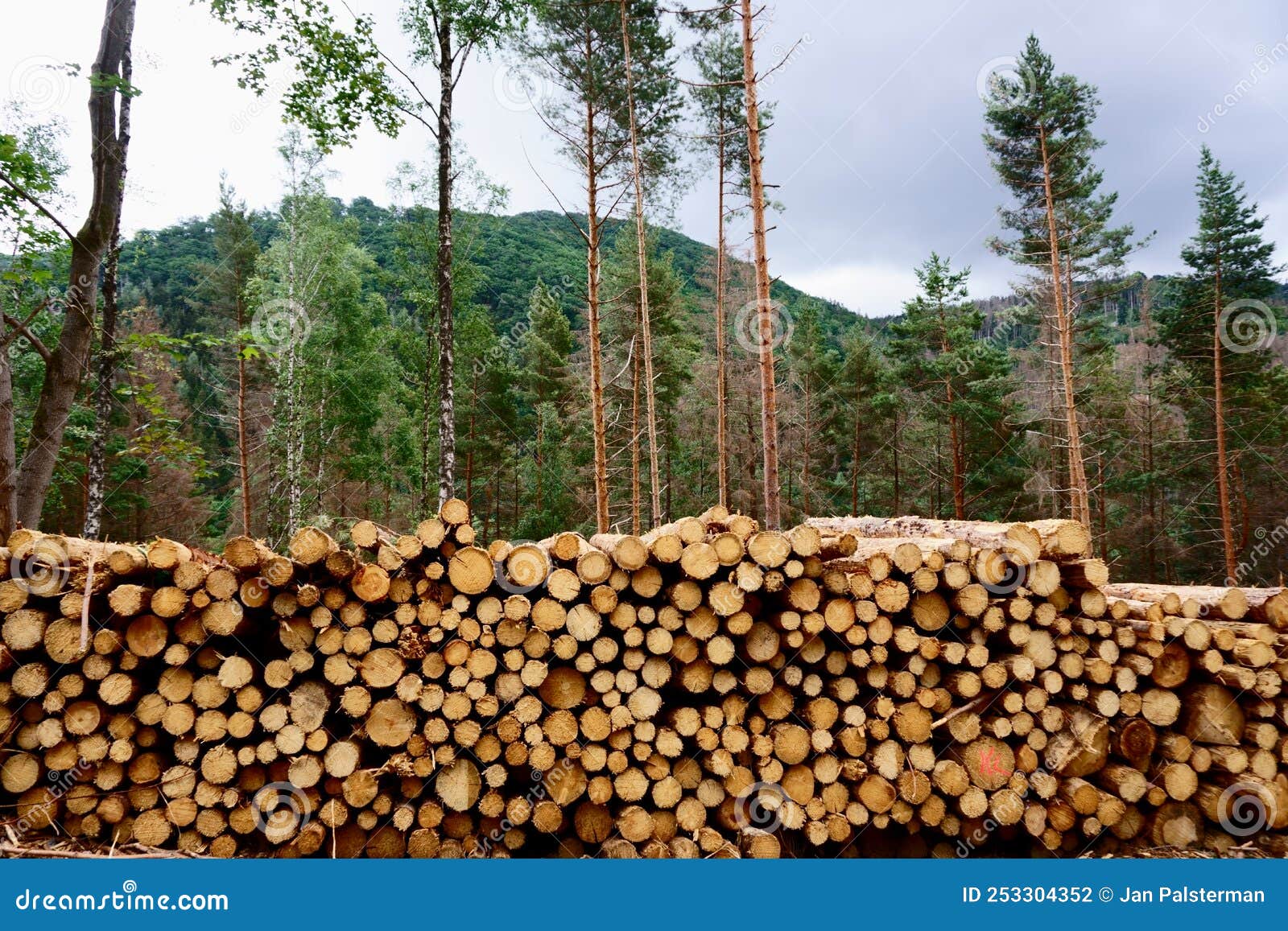 Wood Logging Harz Stock Photos - Free & Royalty-Free Stock Photos from ...