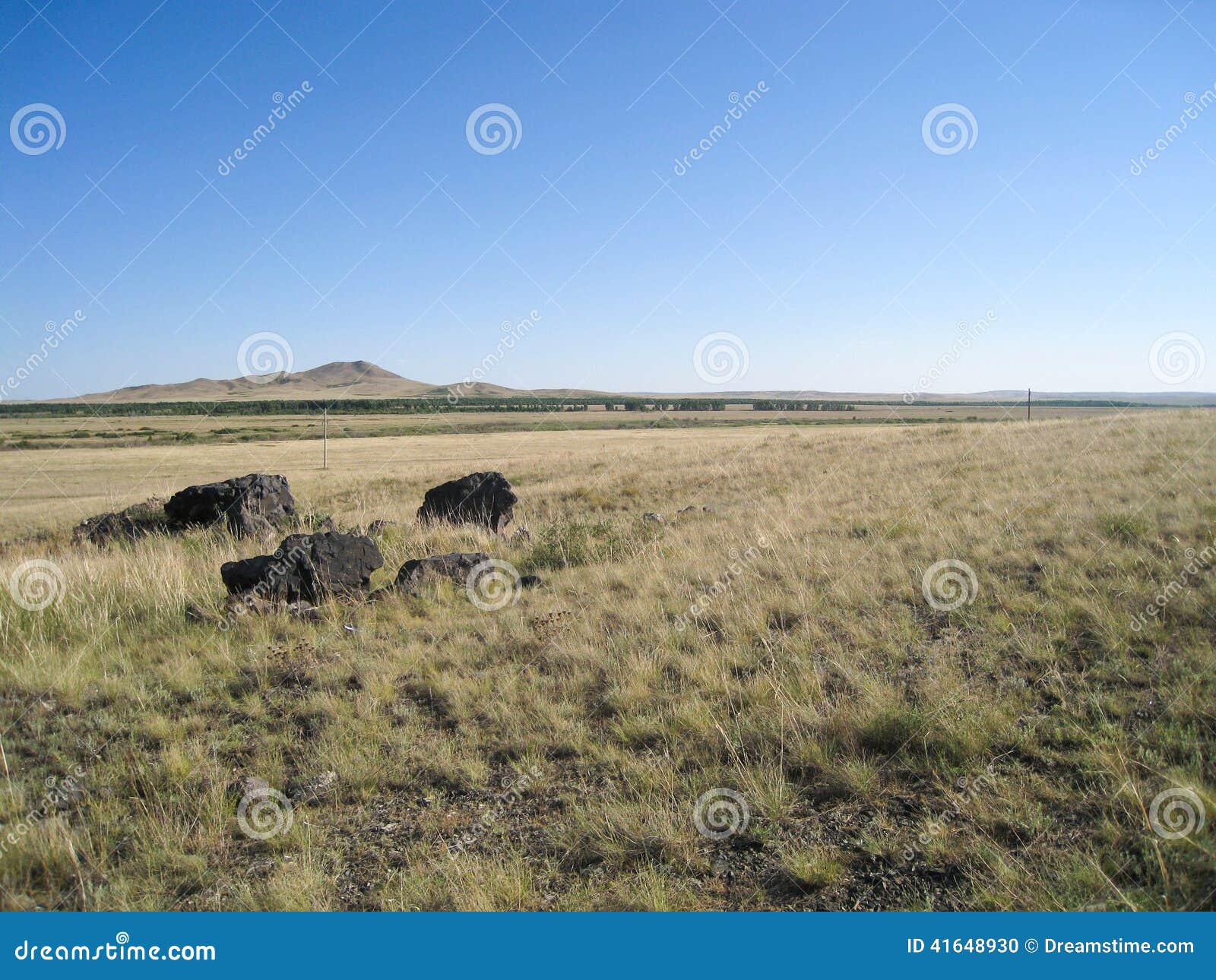 Preria zdjęcie stock. Obraz złożonej z samarkand, krajobraz - 41648930