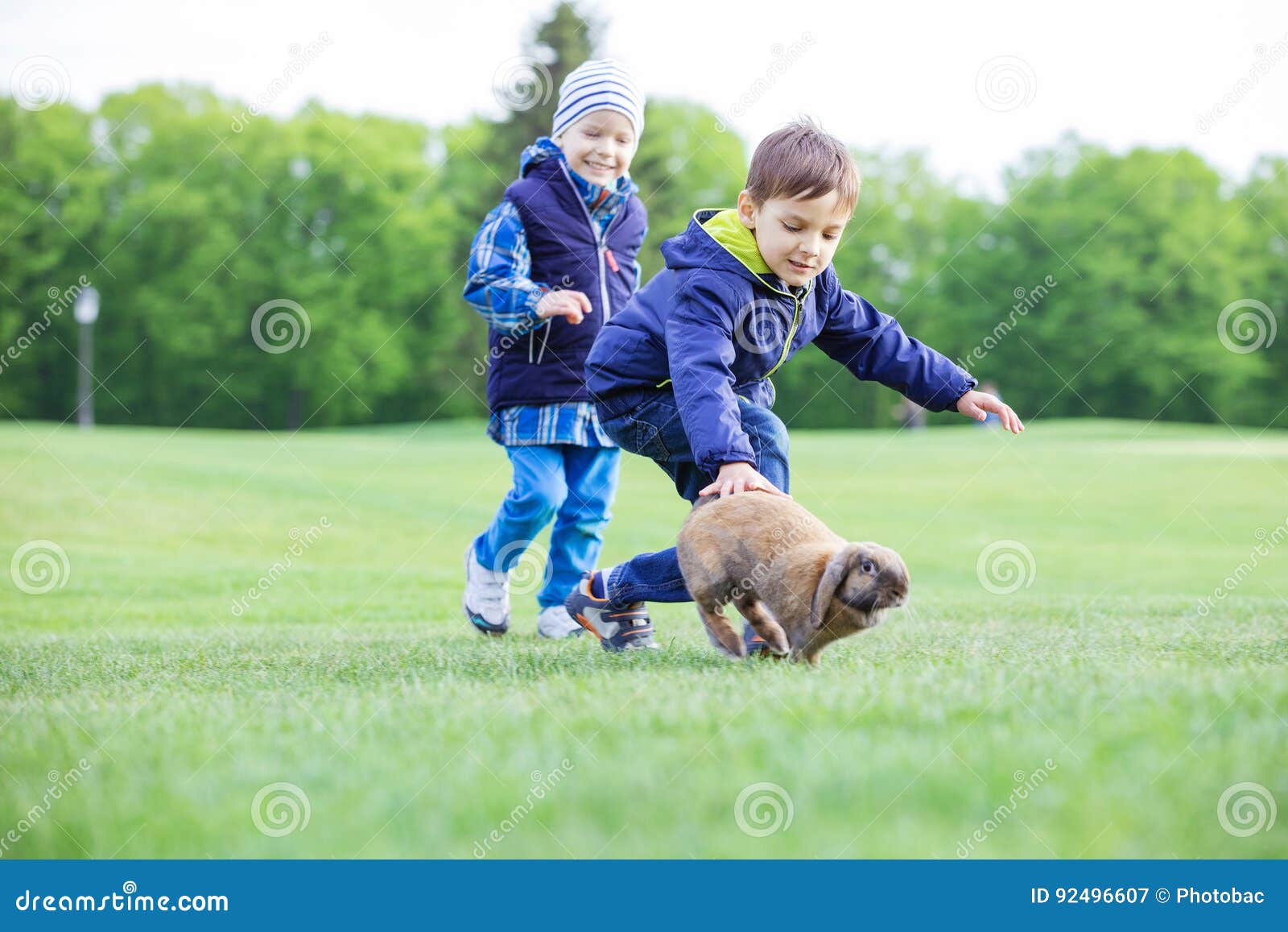 Preschool Boys Catching Pet Rabbit in Park Stock Image - Image of child ...