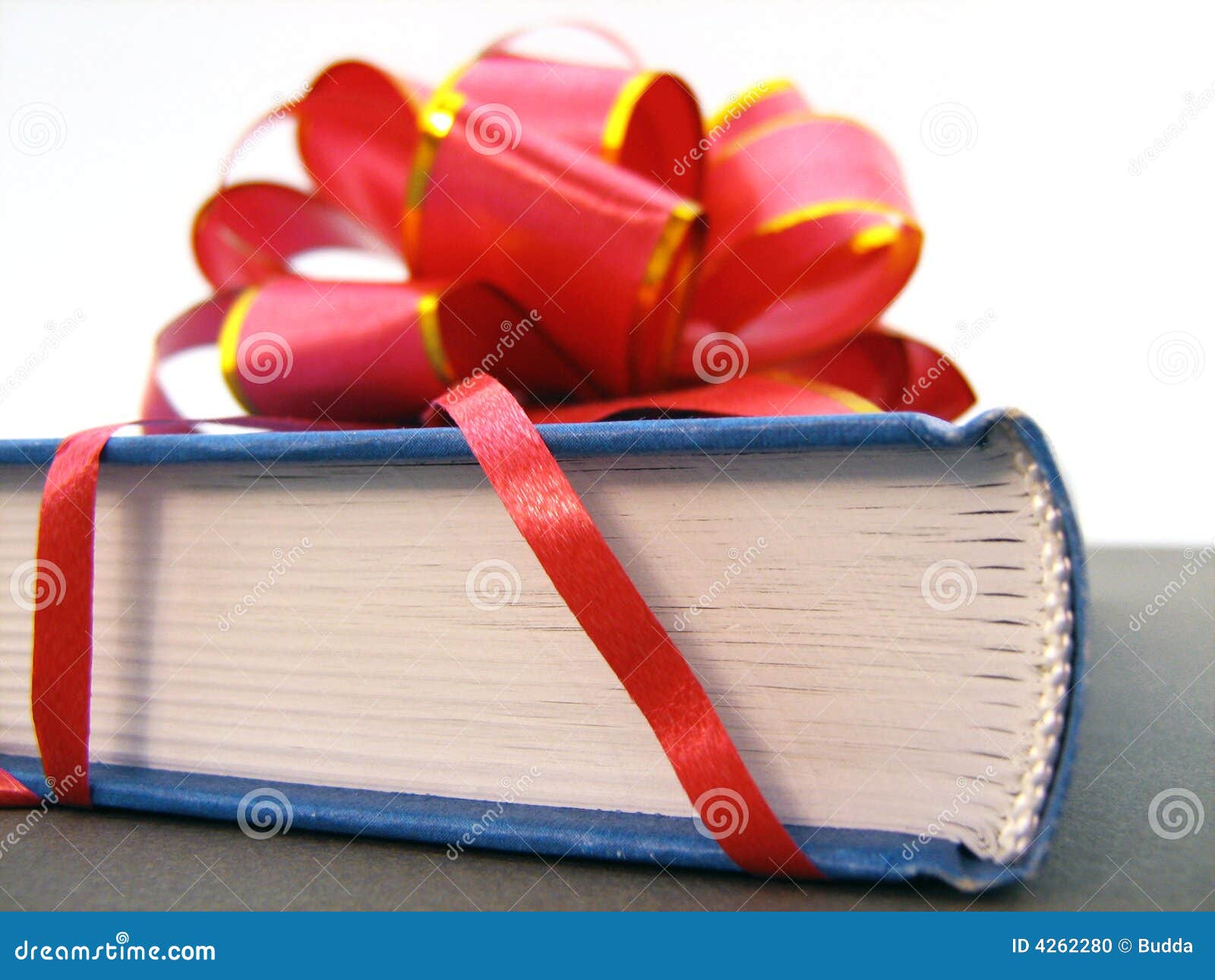 Present Book stock photo. Image of expertise, package - 4262280