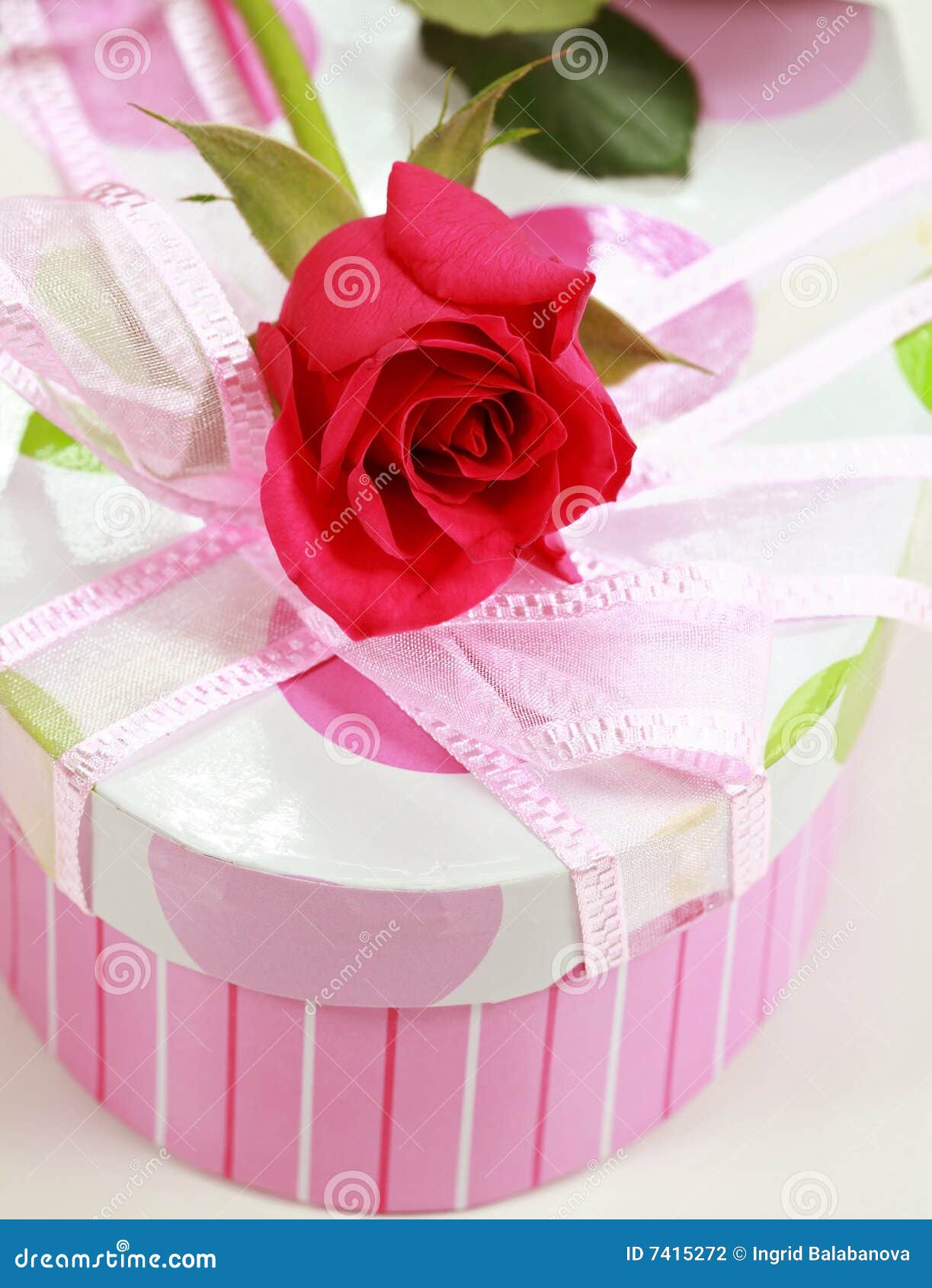 Present box and rose stock photo. Image of birthday, occasion - 7415272