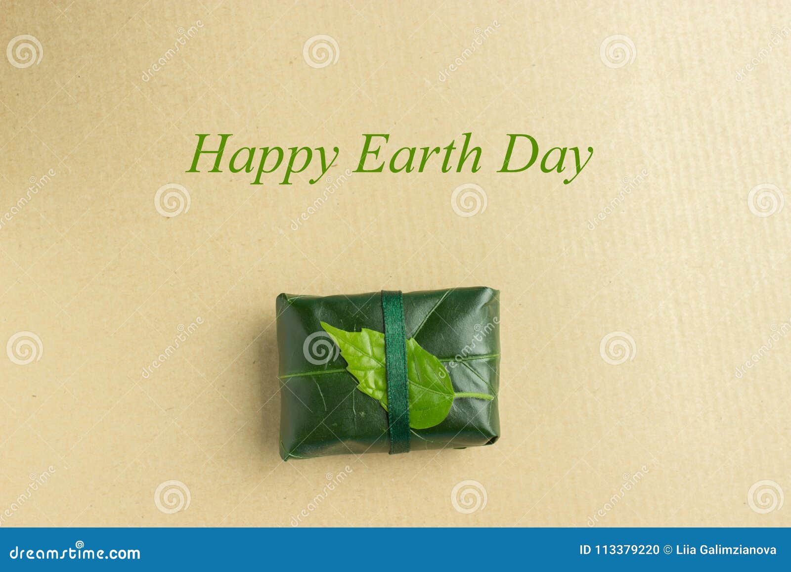 Present on earth day stock photo. Image of congratulations - 113379220