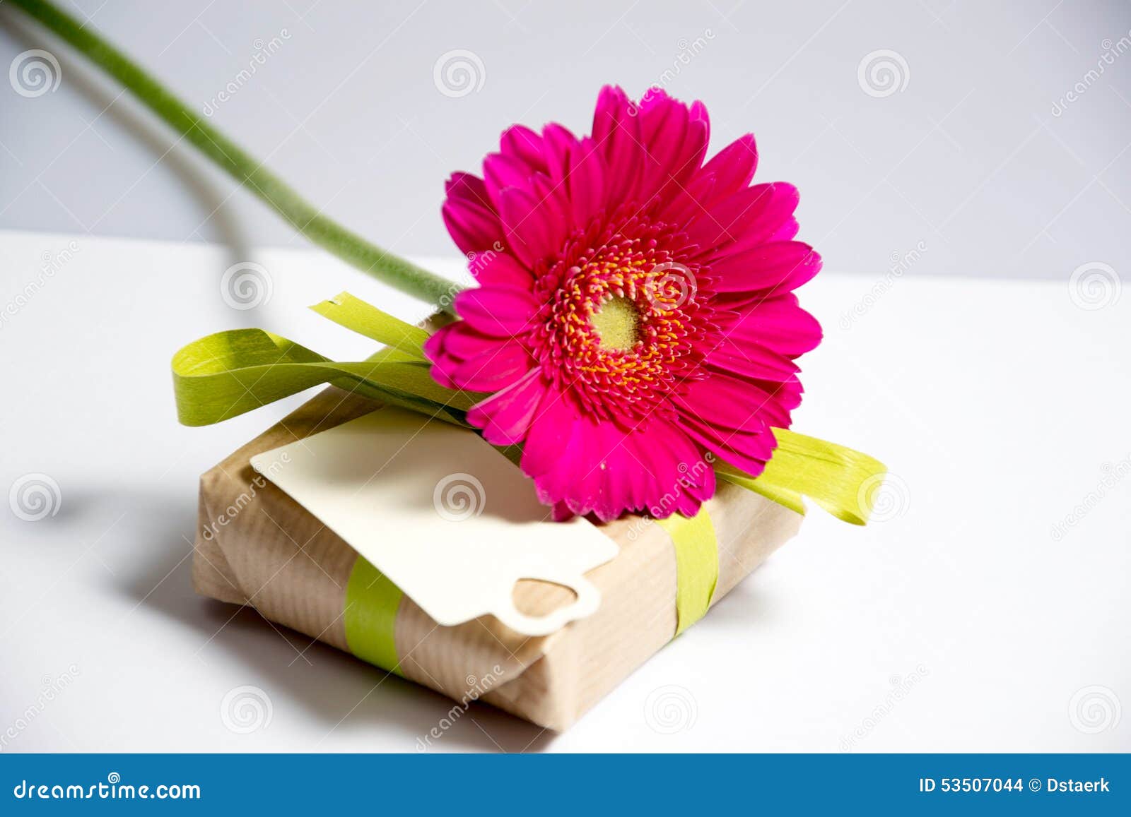 Present stock photo. Image of gerbera, message, flower - 53507044