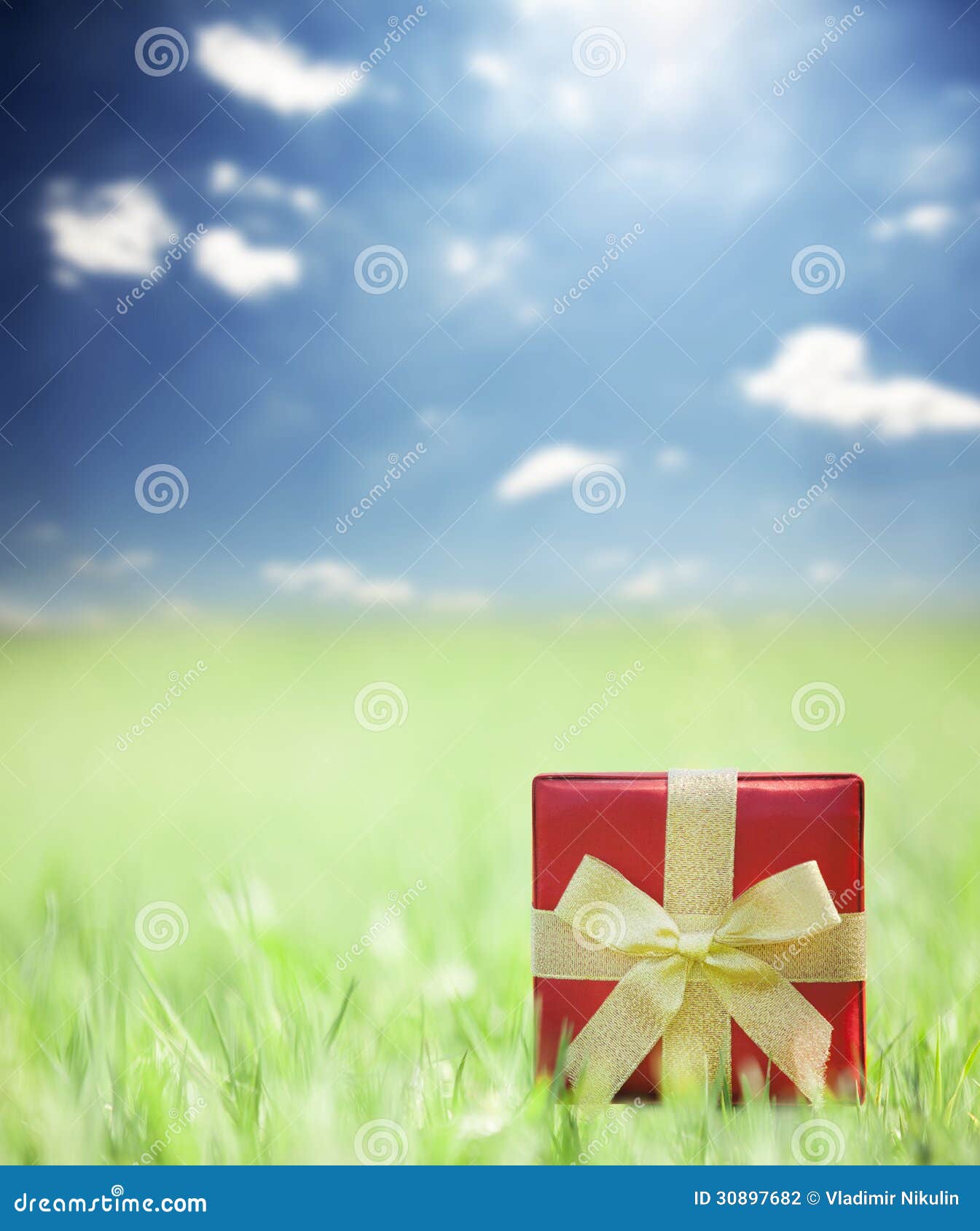 Present on Grassy Background Stock Photo - Image of birthday, green ...