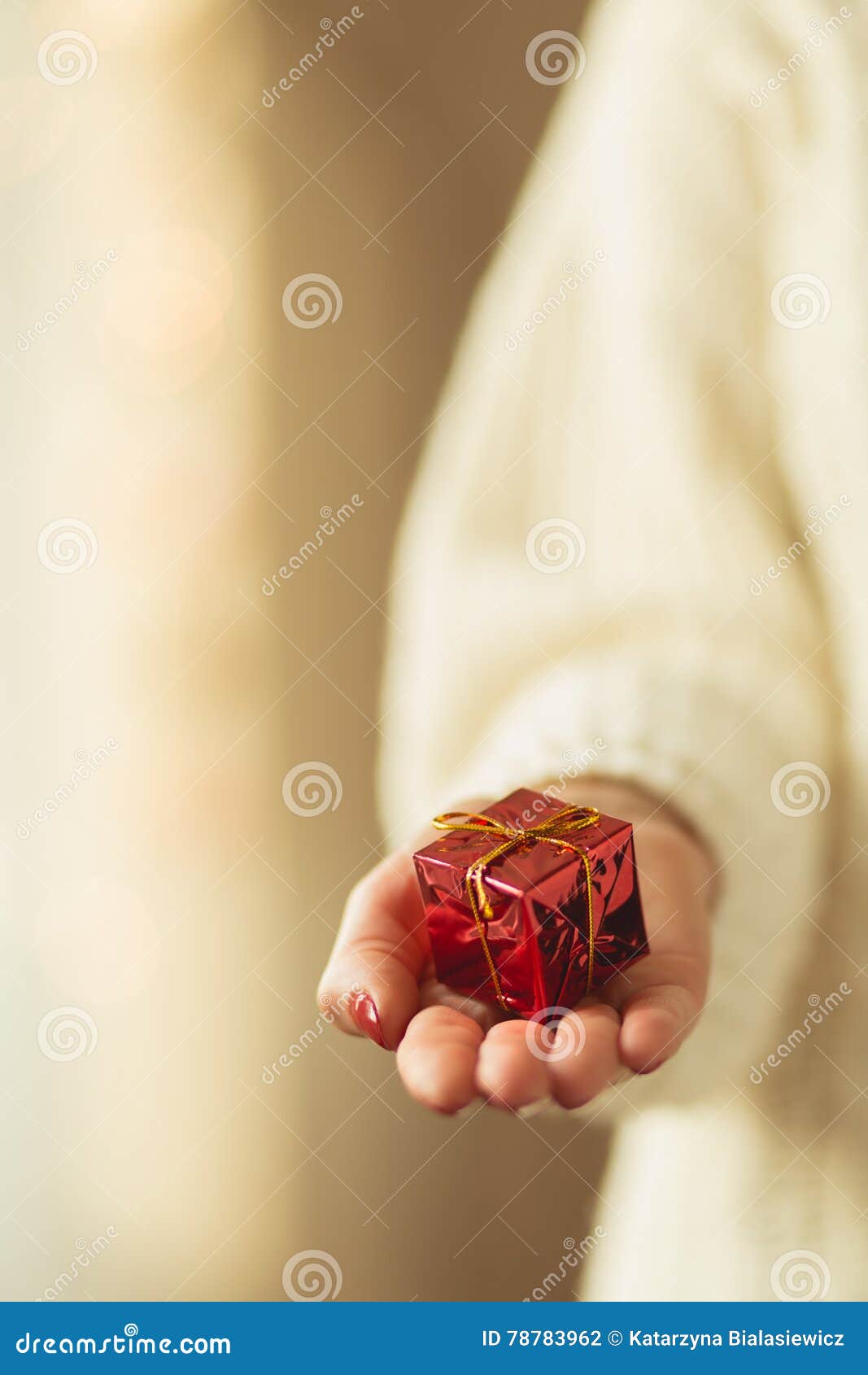 Present for Someone Special Stock Photo - Image of happiness, december ...