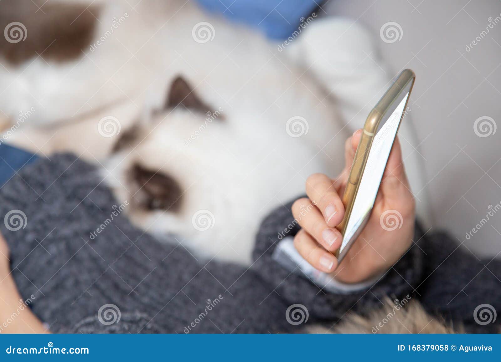 Present Technology Devices in Situ Stock Photo - Image of mobile ...