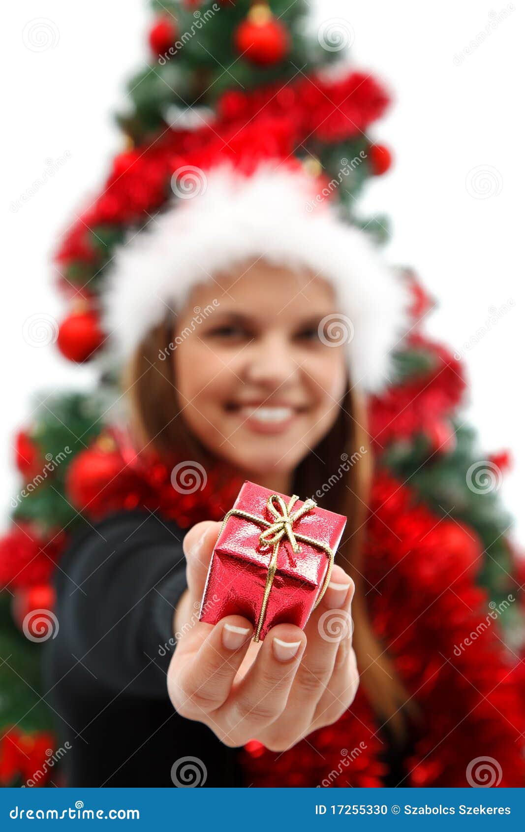 Present for you stock photo. Image of female, attractive - 17255330