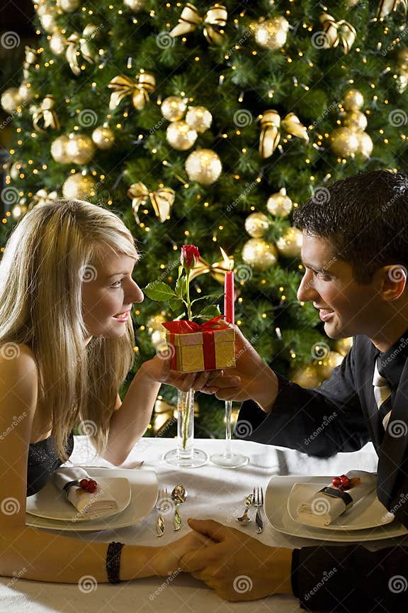 Present for you stock photo. Image of couple, lifestyle - 4505930