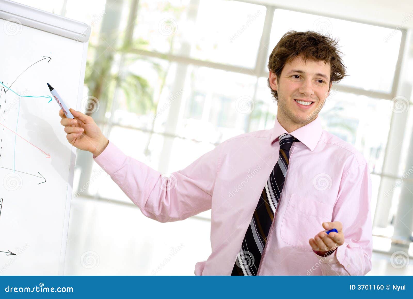 Presentation stock photo. Image of success, learning, smile - 3701160