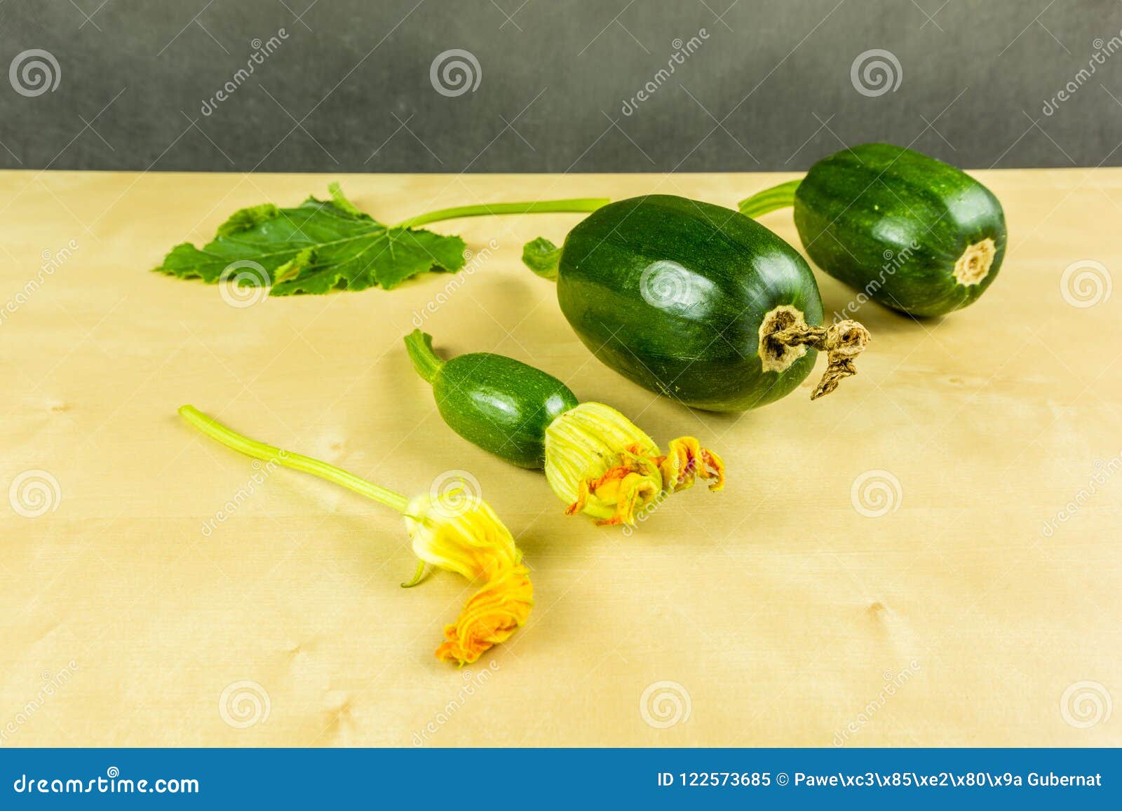 Presentation of the Growth Stages of Zucchini. Stock Image - Image of ...