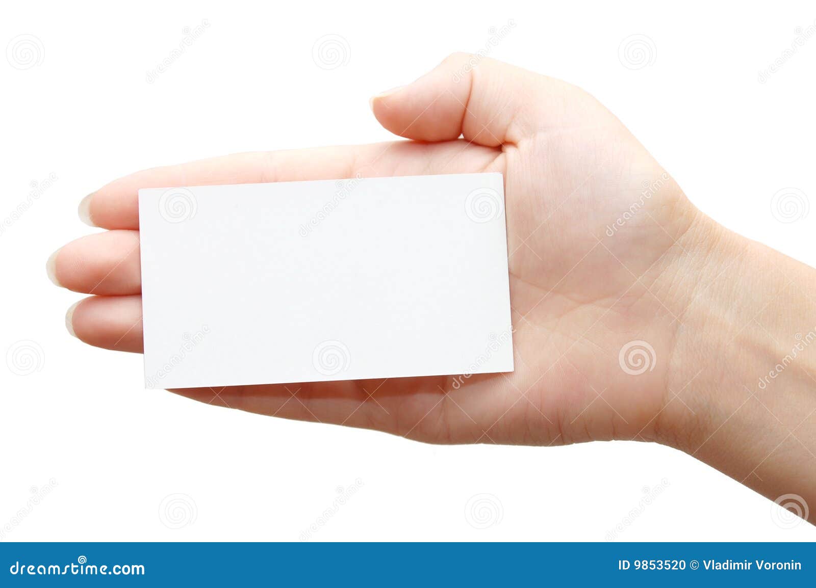Presenting a Business Card stock photo. Image of message - 9853520