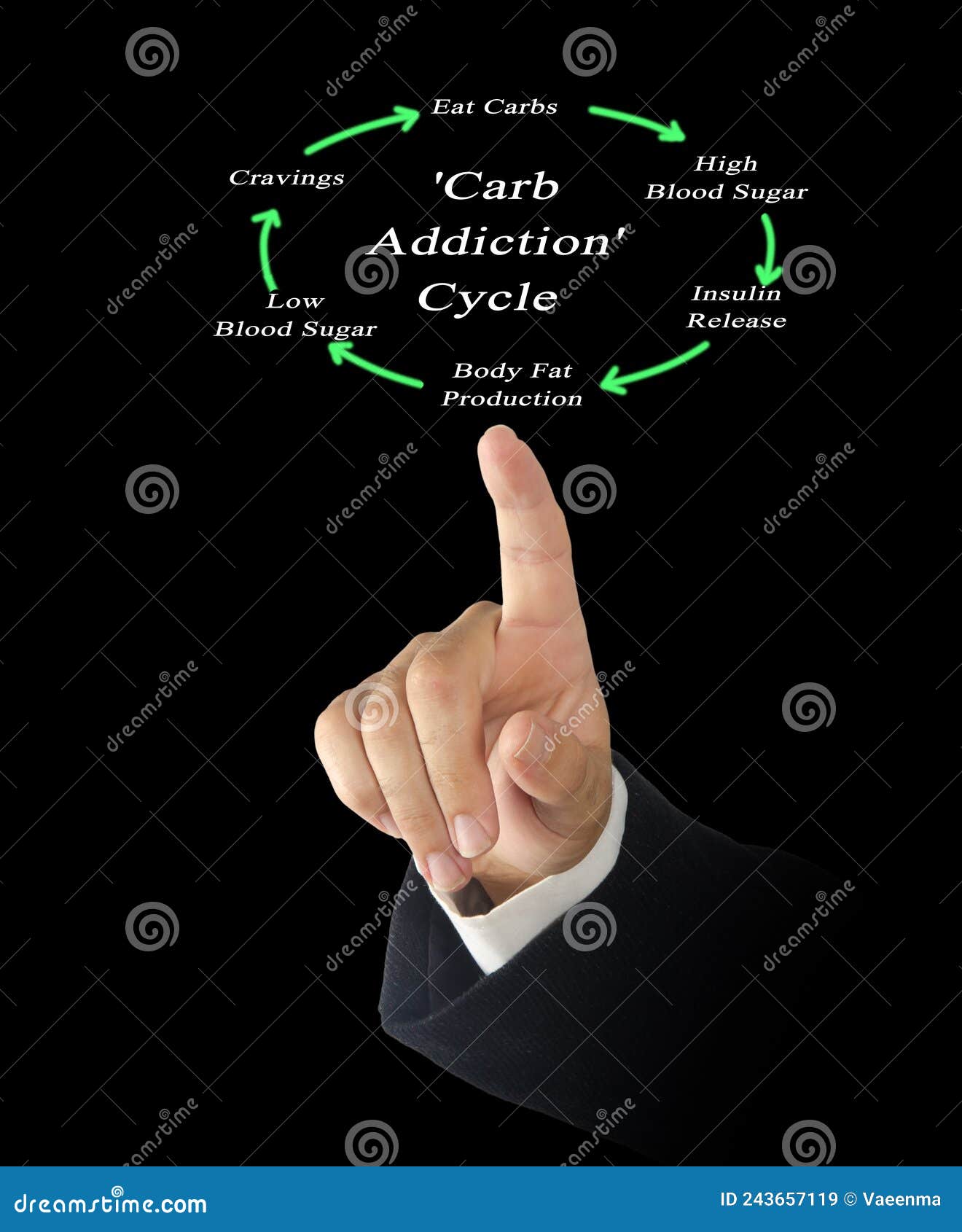 Presenting Carb Addiction Cycle Stock Image - Image of diagram, concept ...