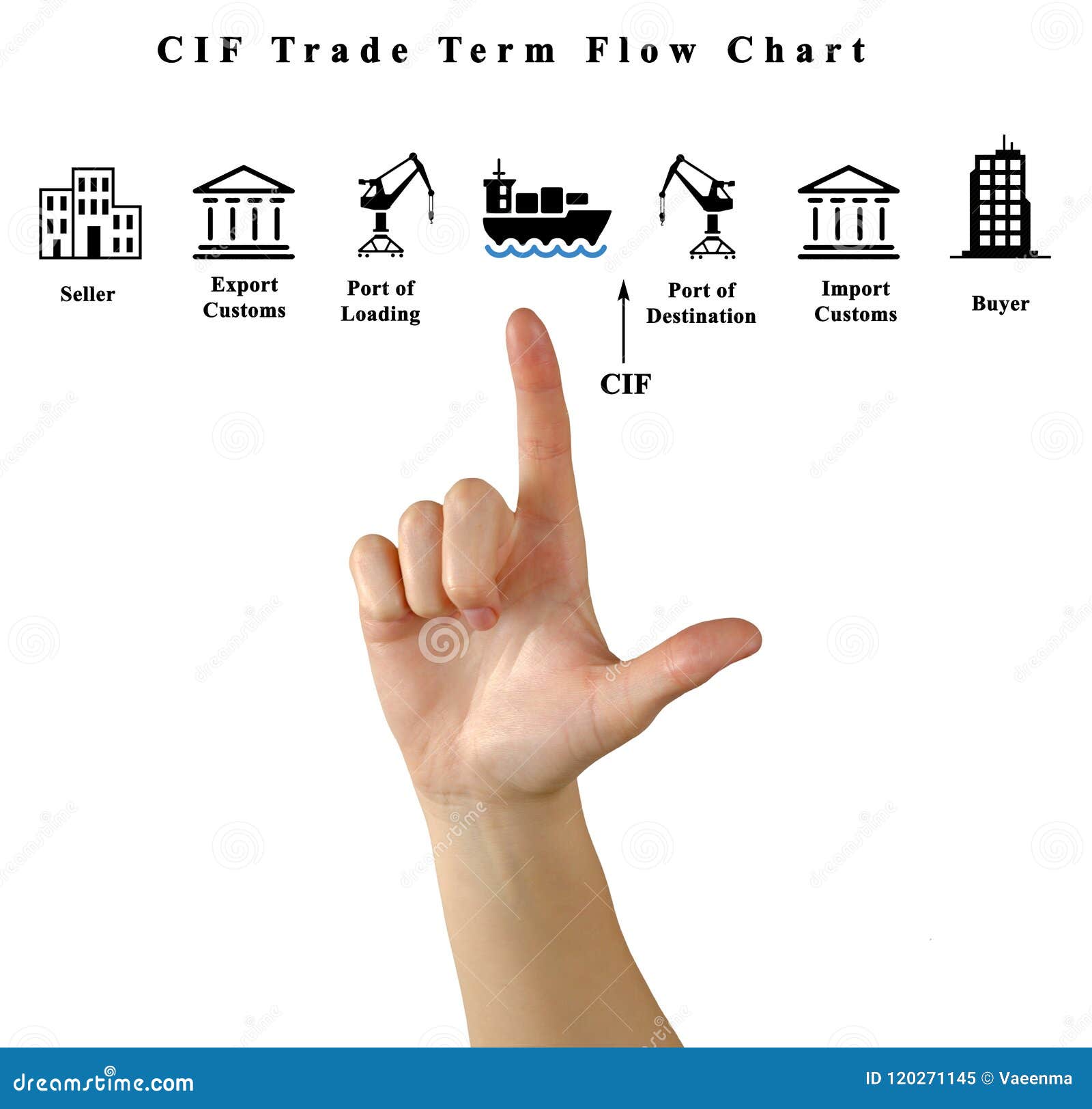 CIF Trade Term Flow Chart stock image. Image of coverage - 120271145